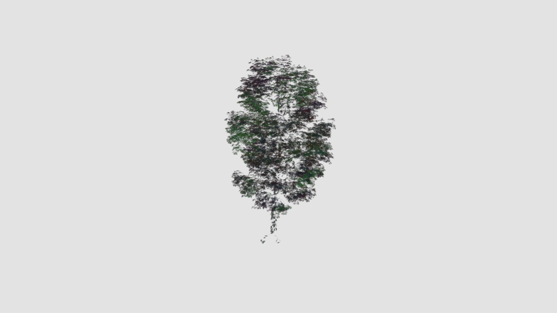 Tree - Buy Royalty Free 3D model by Evermotion [e3cc81d] - Sketchfab Store