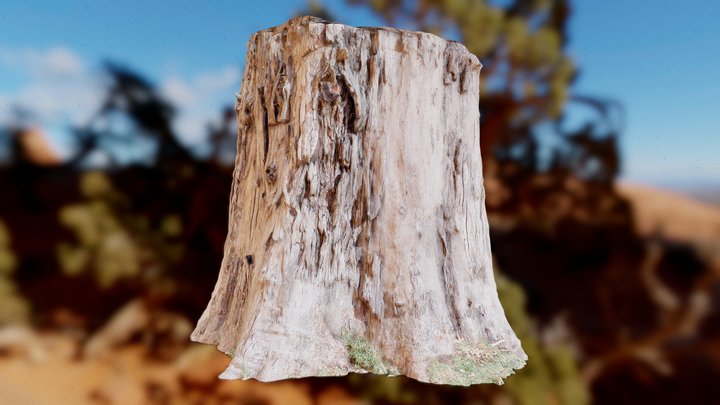 Treebase 3D models - Sketchfab