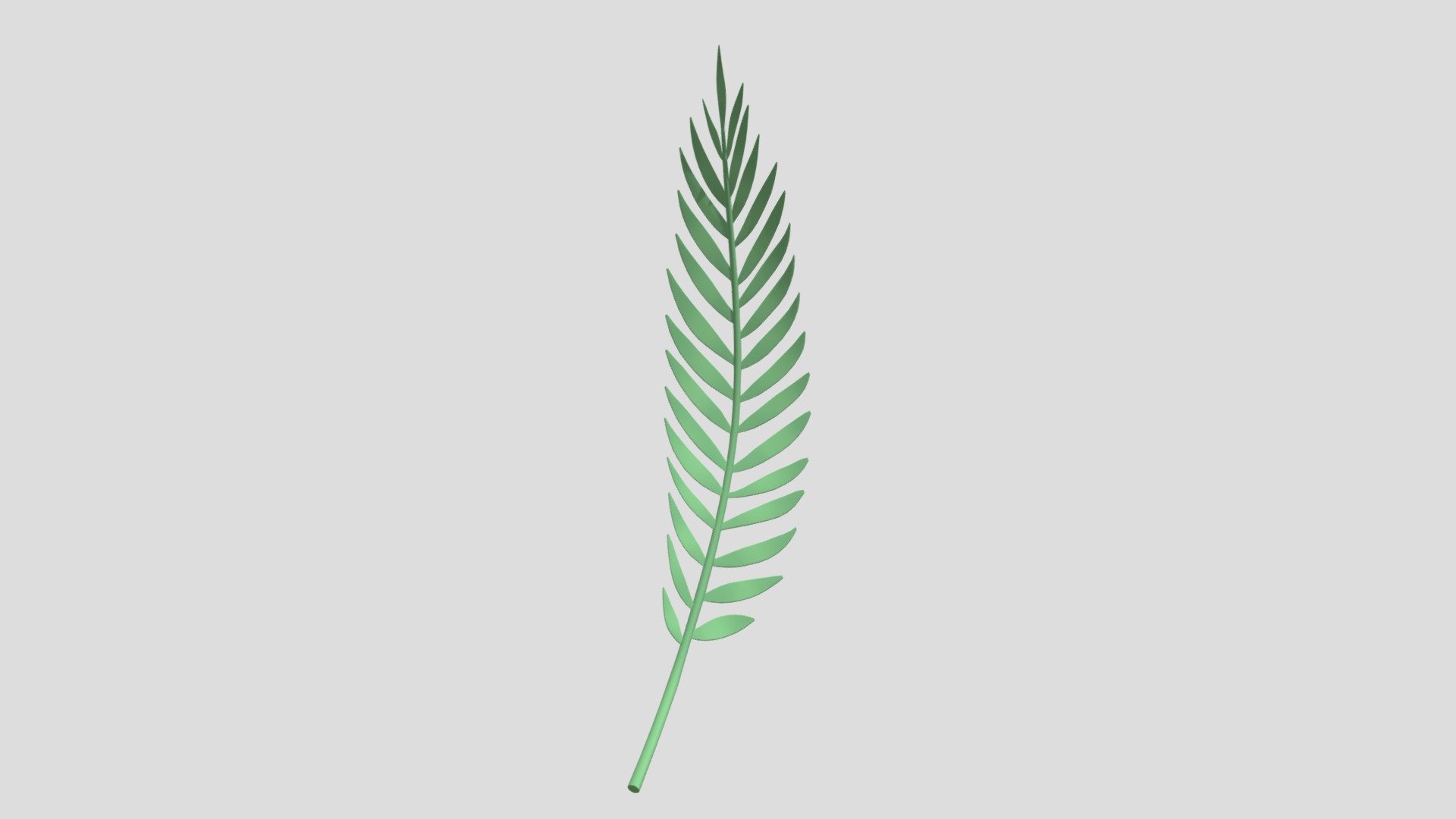 Bagian-bagian daun - Download Free 3D model by nurhasanahsyarief ...