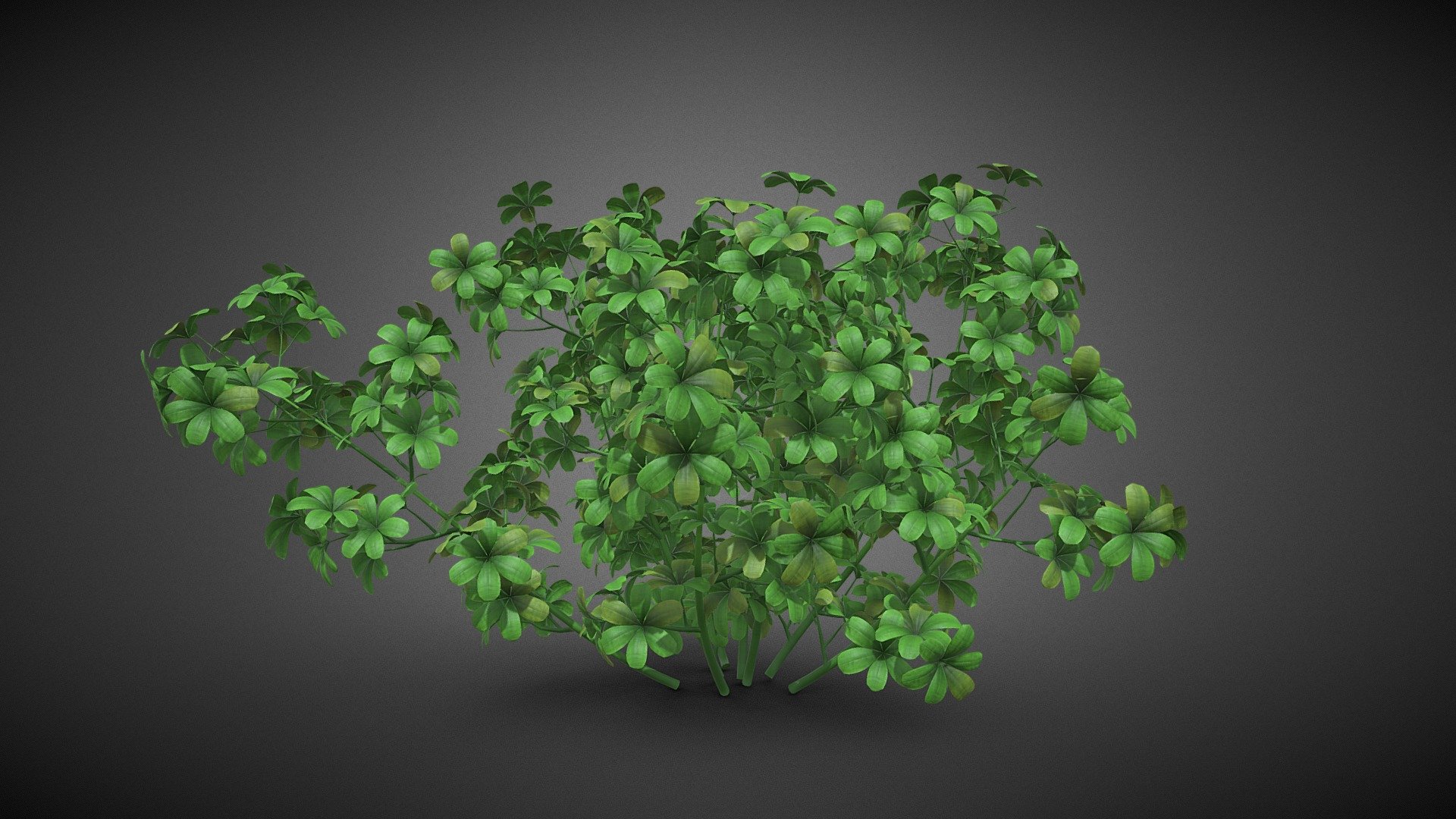 Shrub tree - Buy Royalty Free 3D model by misitewang [e3de3a0 ...