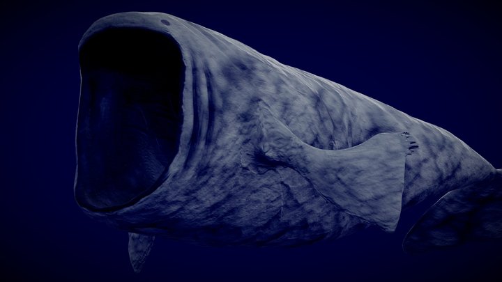 Bloop 3D models - Sketchfab