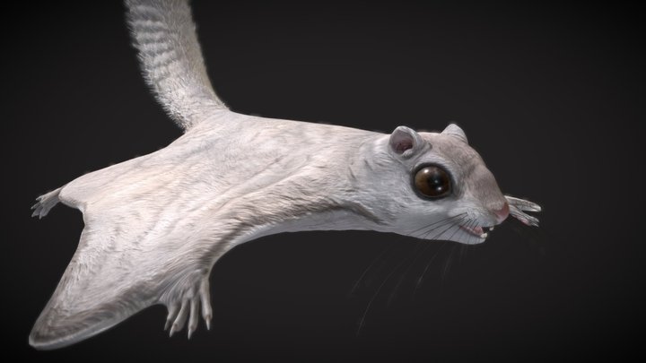 Fauna 3D models - Sketchfab