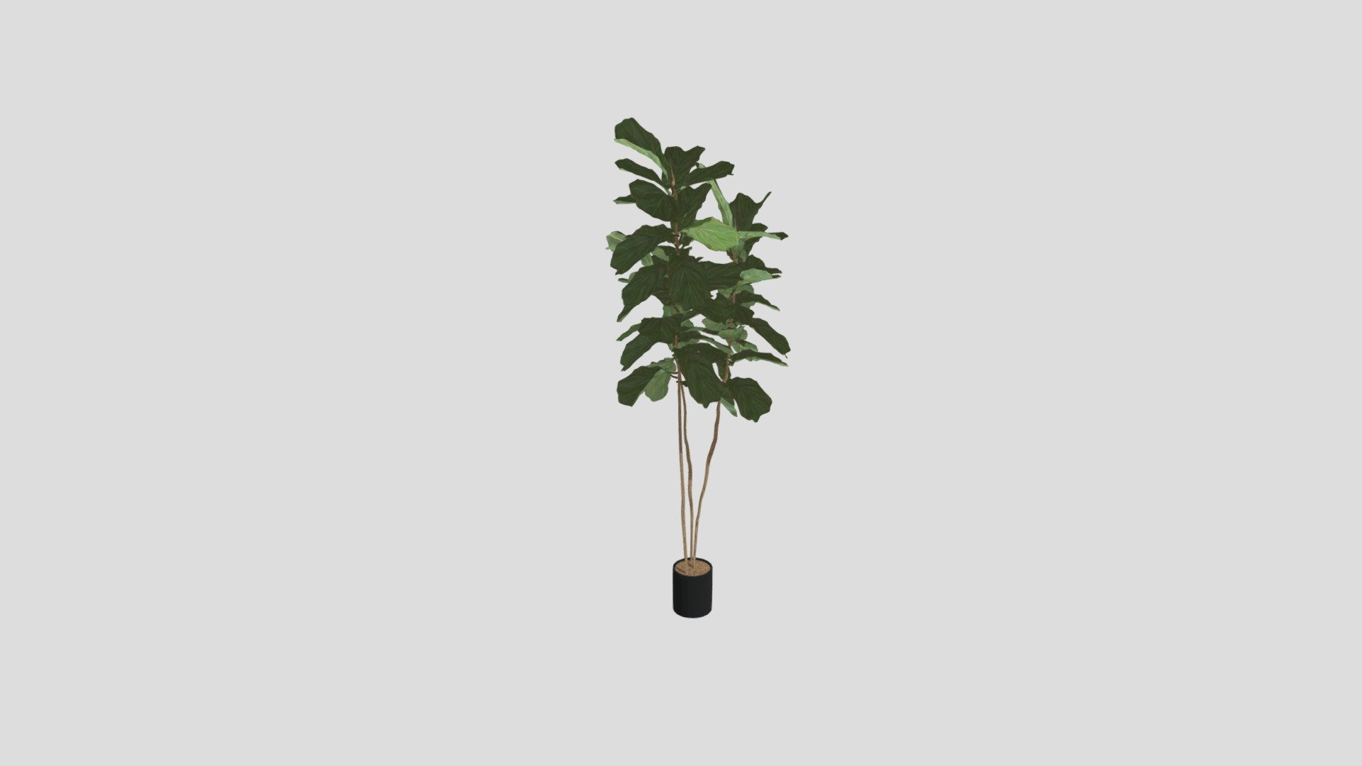 Living Room Option #2 "Fig Tree" - 3D model by 3D Apartment [e3e18a0 ...