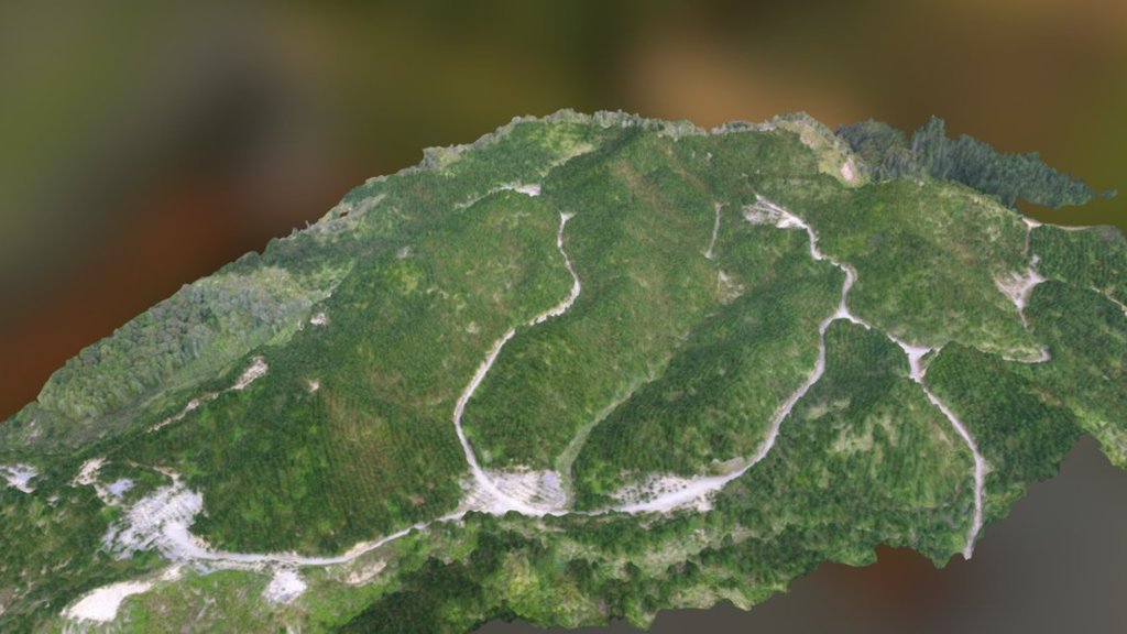 3D Forest Model from Interpine's UAV / Drones - 3D model by Interpine ...