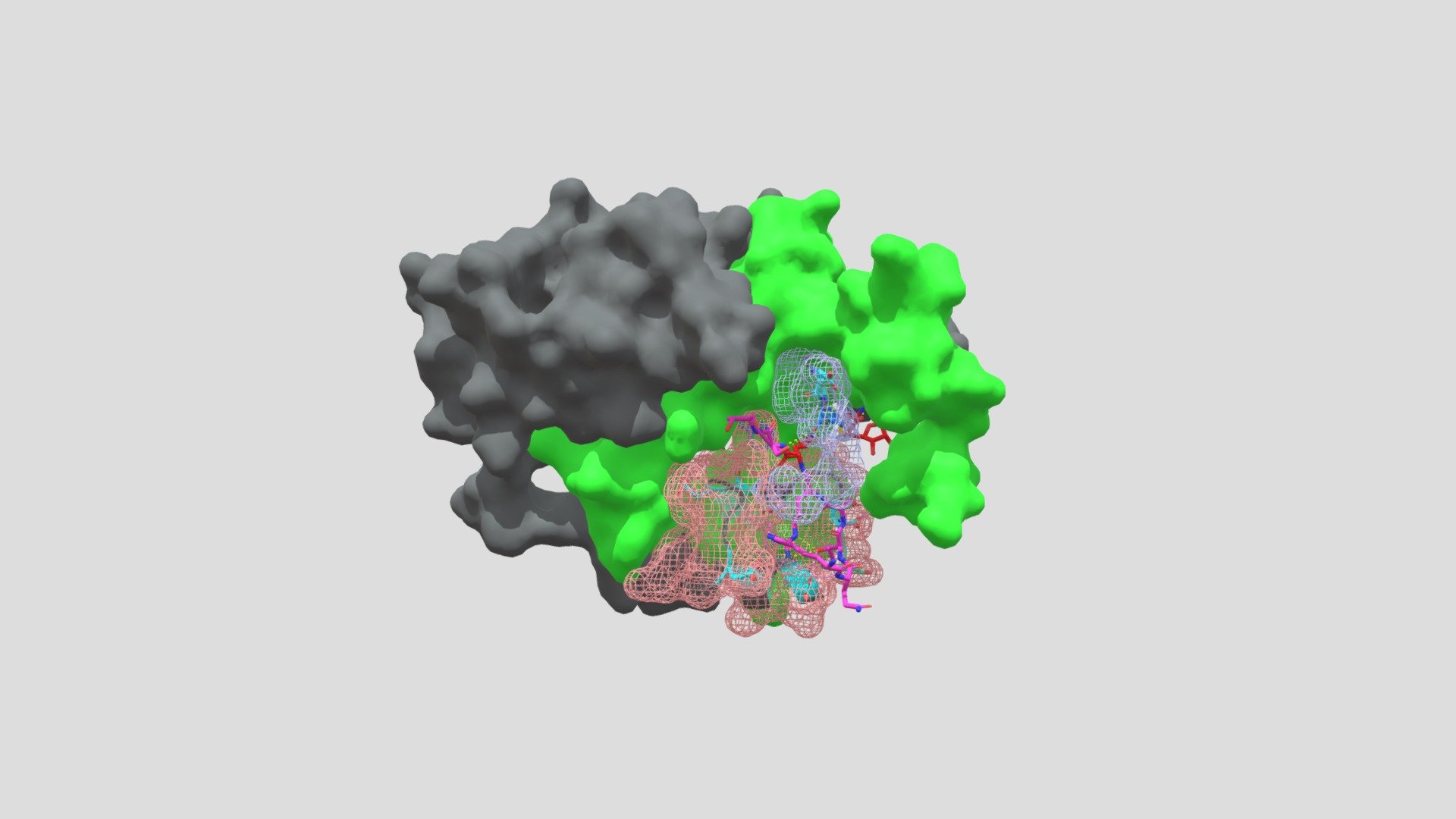 Exploring the Structural Interactions of GLP - 3D model by jlin0576 ...