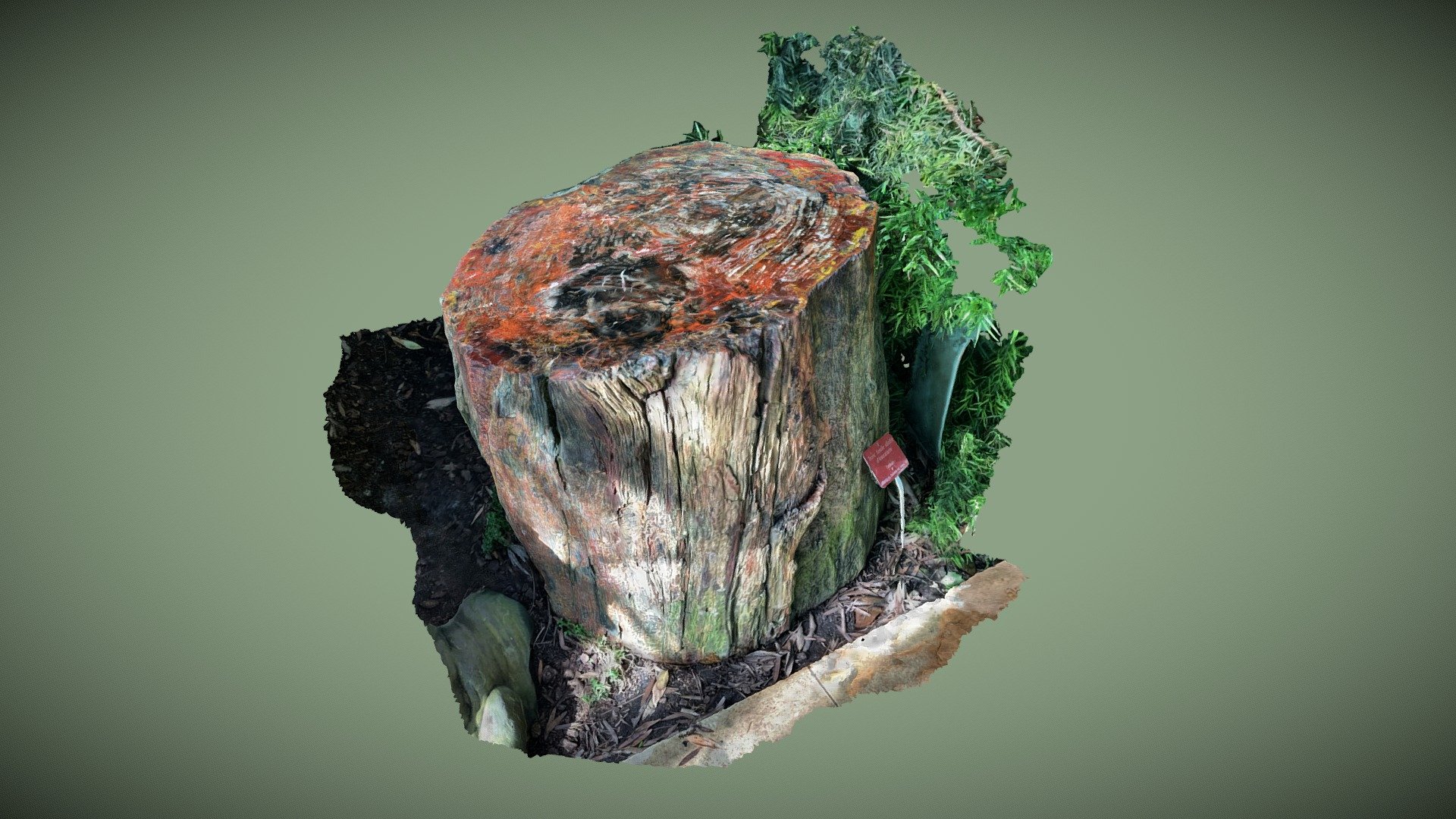 Silicified wood - Download Free 3D model by Sara Carena (@saracarena1 ...