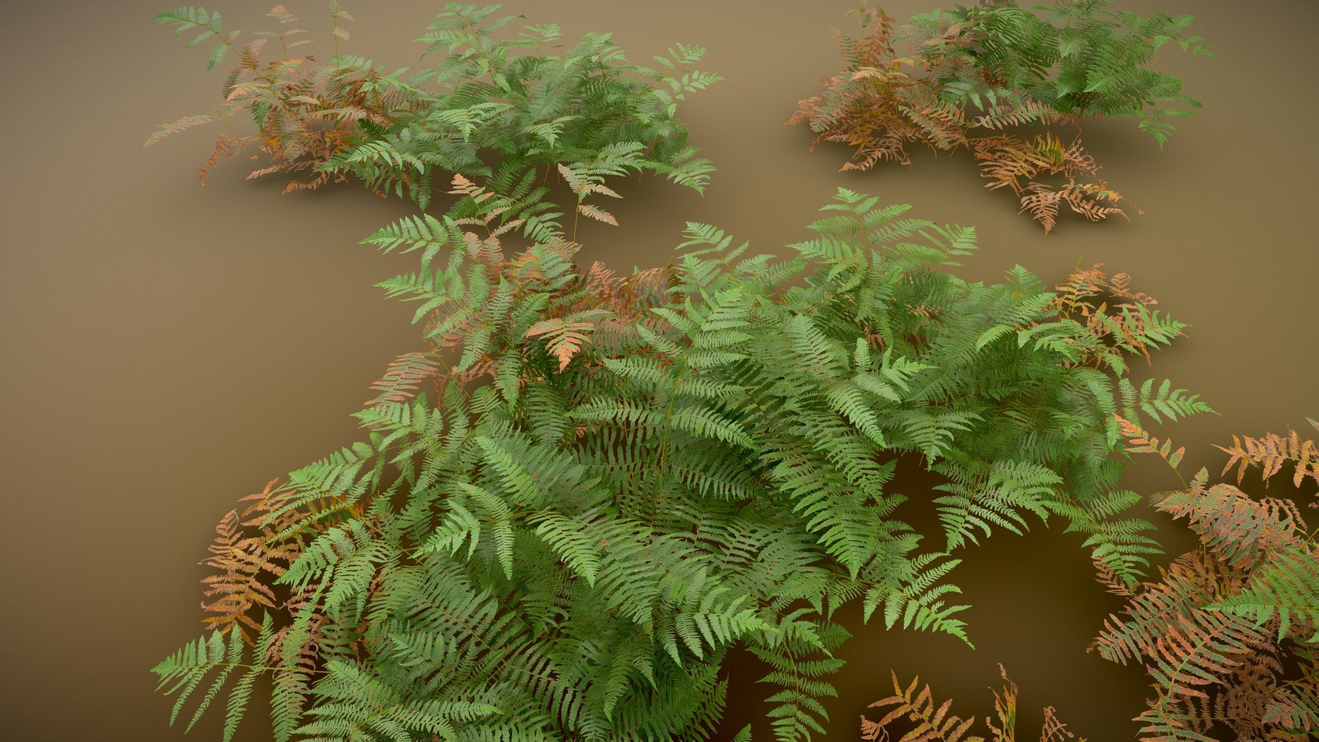 Fern Forest Realistic Collection - Buy Royalty Free 3D model by Pers ...