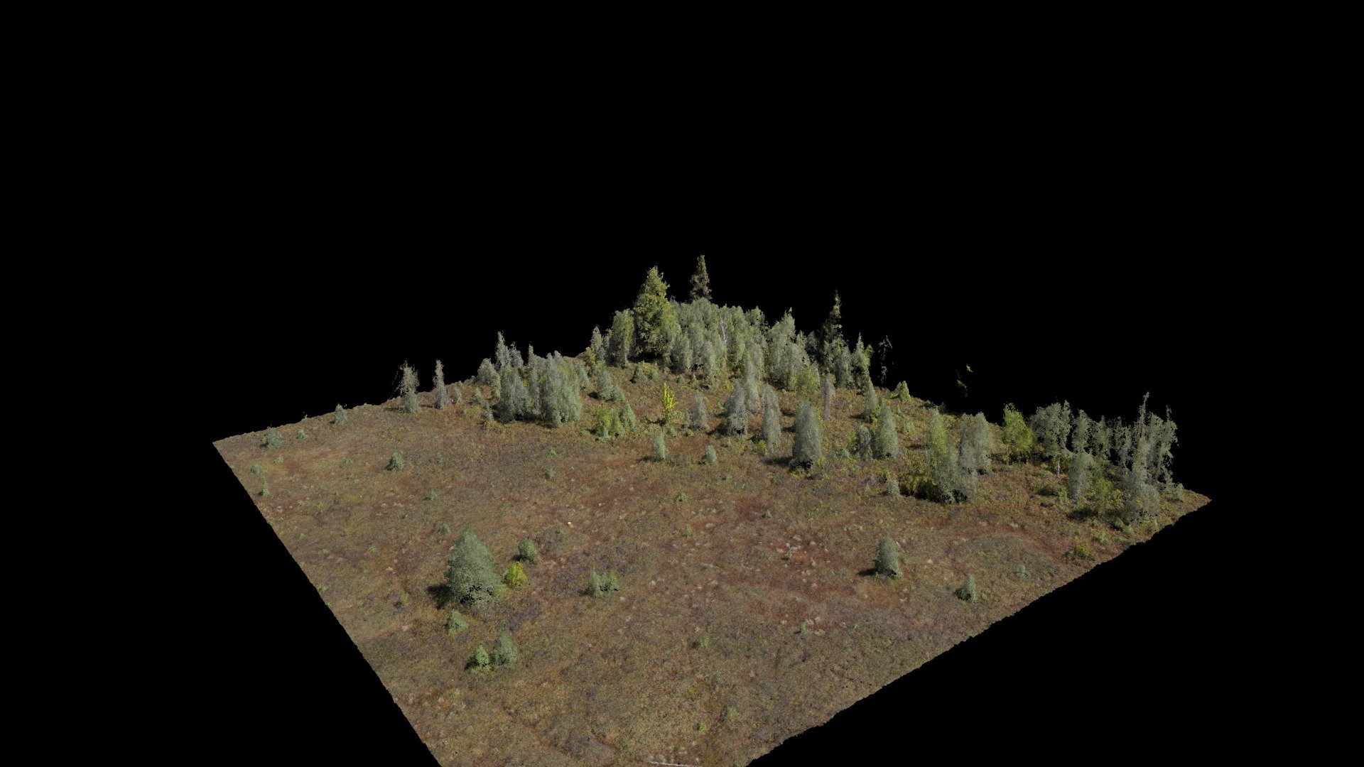 Mer Bleue - SfM treed bog VR ready - Download Free 3D model by Applied ...