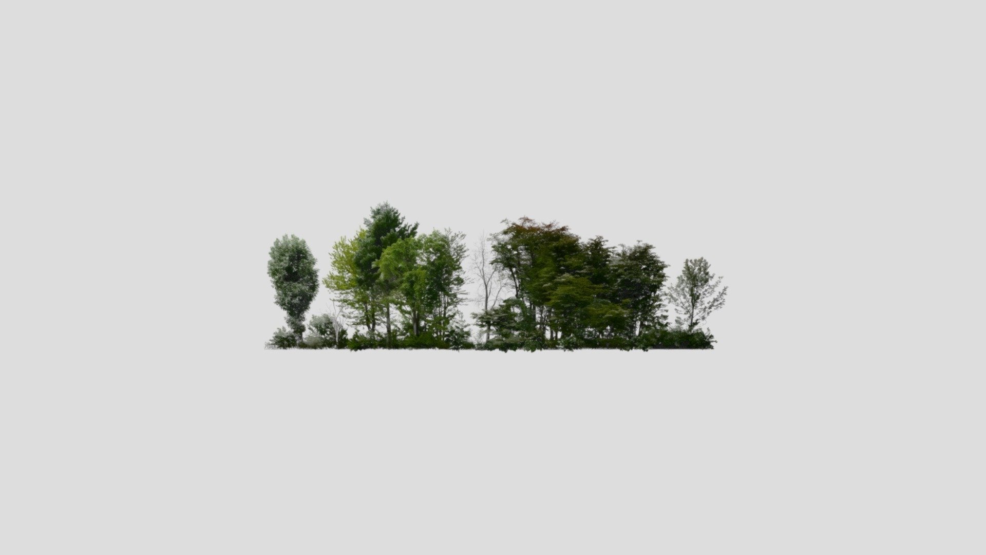foliage05 - Download Free 3D model by bohuslavhybasek [e40fb5d] - Sketchfab