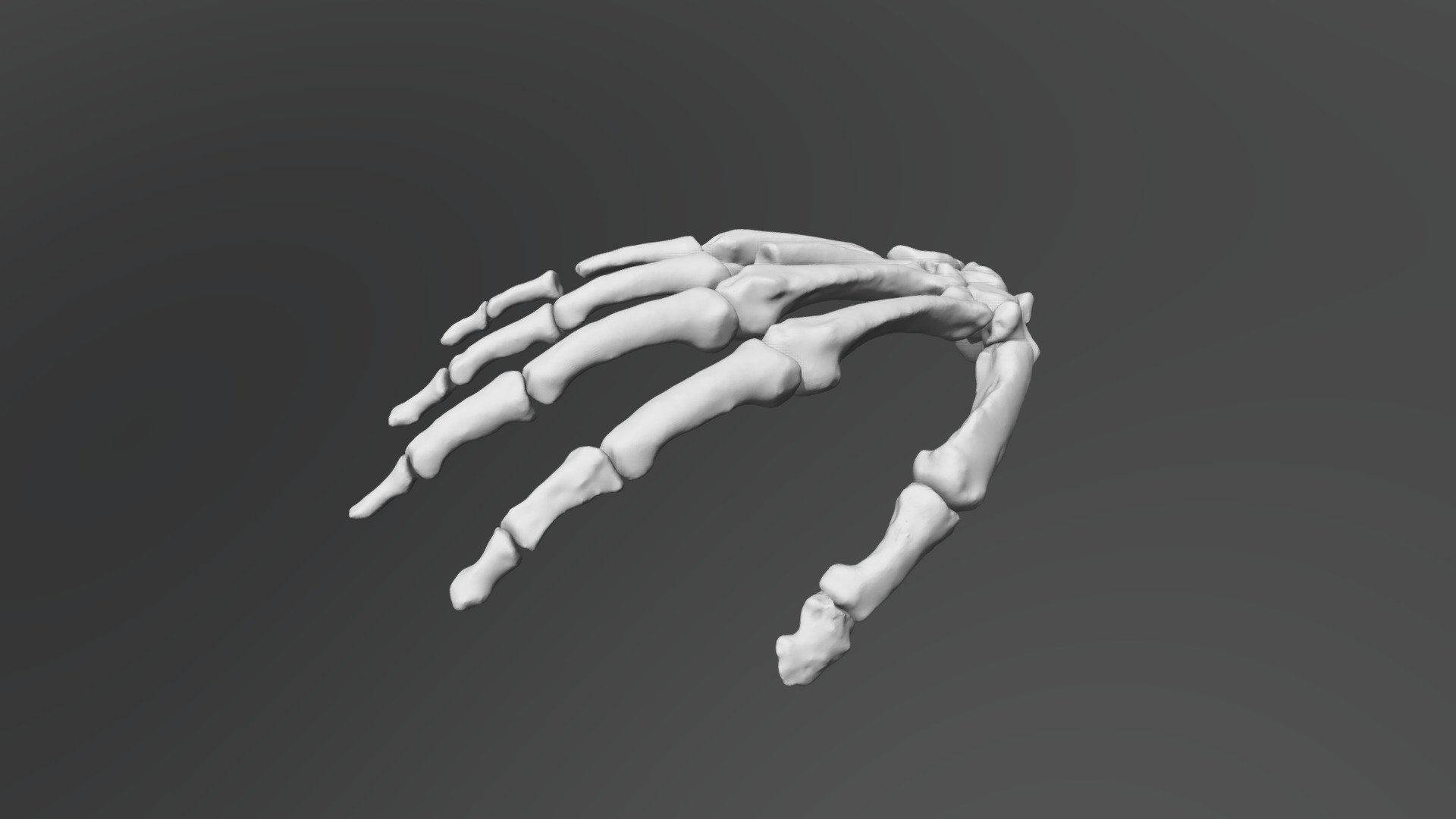 Homo naledi Hand - 3D model by UCFanthropology [e4155d2] - Sketchfab