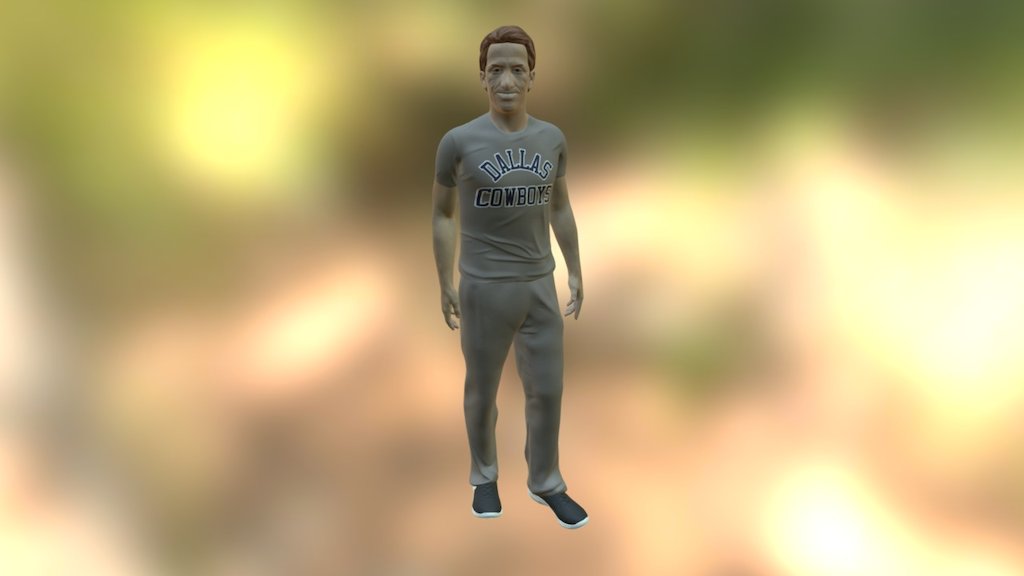 Skip - Download Free 3D model by vudesign.vn [e415709] - Sketchfab