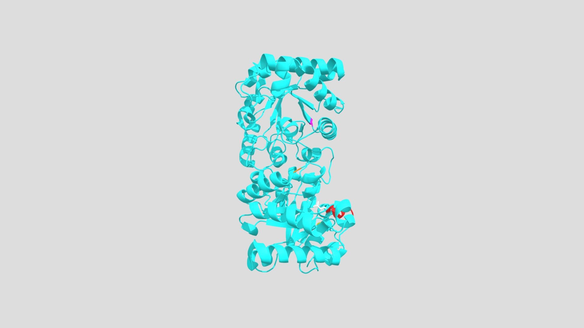TPI enzyme - 3D model by opensaysme [e417251] - Sketchfab