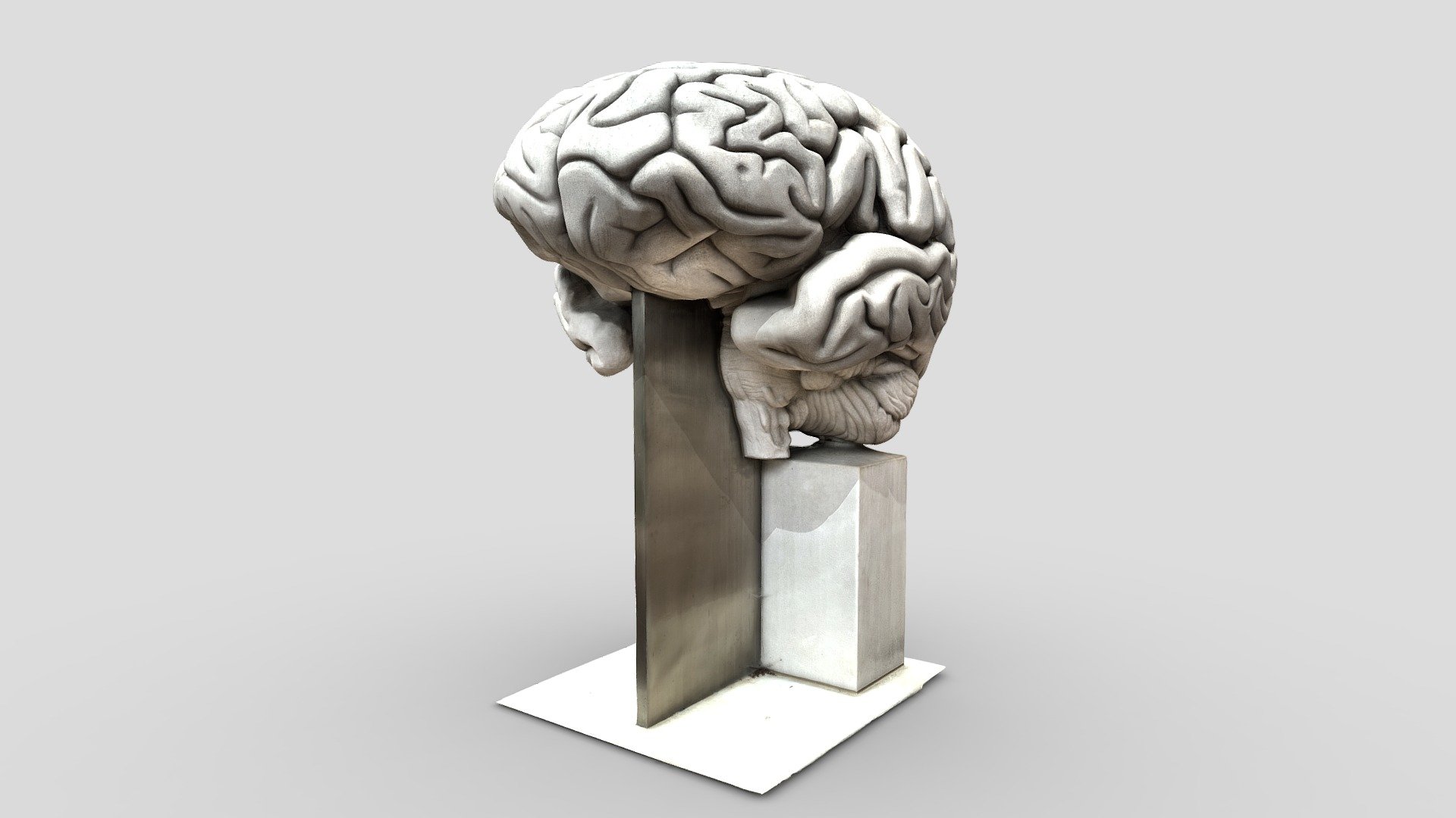 The Human Brain - 3D model by Michael Camilo Saari (@MichaelCamiloSaari ...