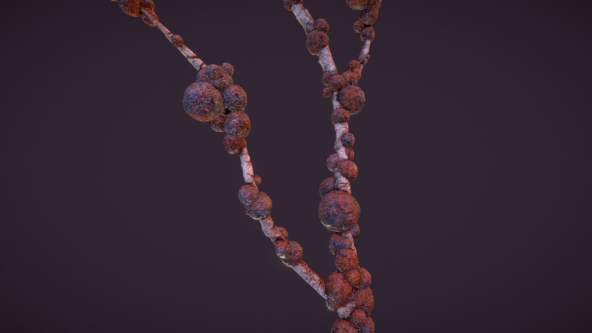 Exoplanet Shrub - 3D model by Jordan Neff (@joodoo) [e41b4c8] - Sketchfab