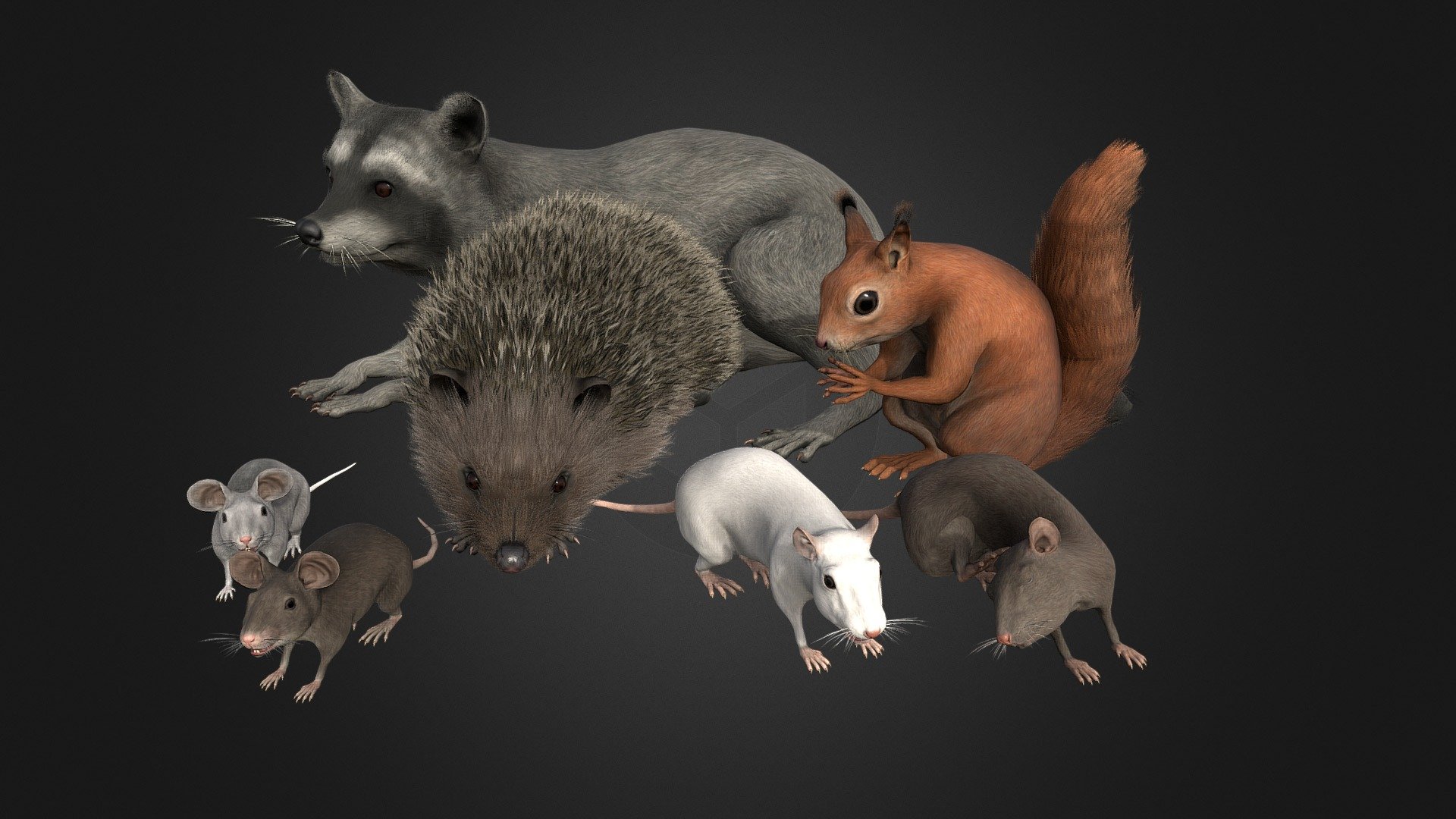 Rodents Pack - Buy Royalty Free 3D model by Rifat3D [e41d4ad ...