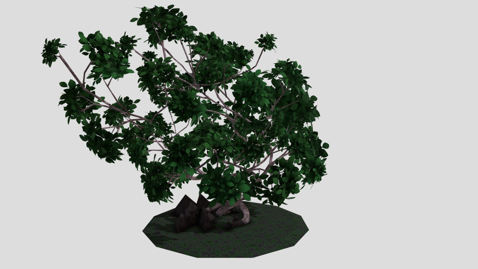 Plant - Download Free 3D model by ajashby [e41dba3] - Sketchfab