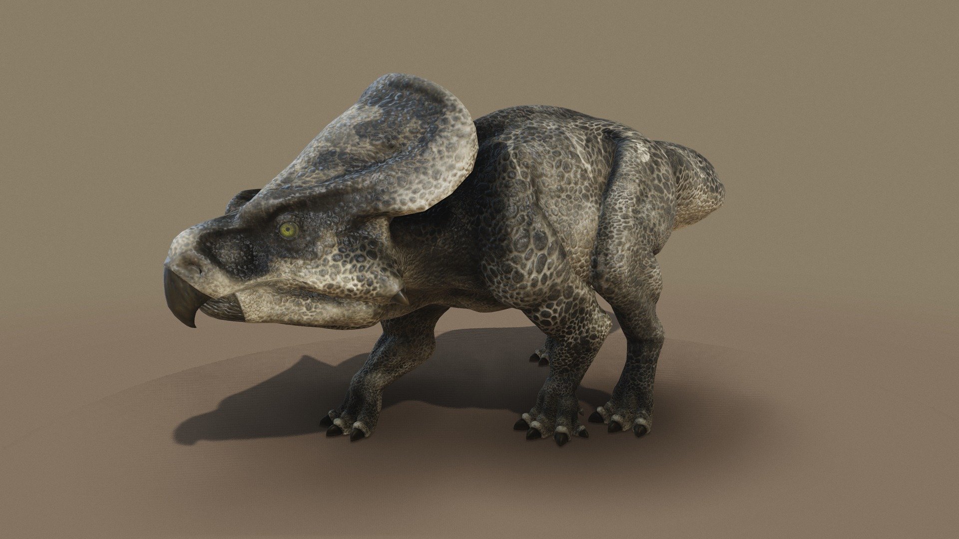 Protoceratops Walk Cycle - 3D model by Kyan0s (@kyan0s) [e425082 ...