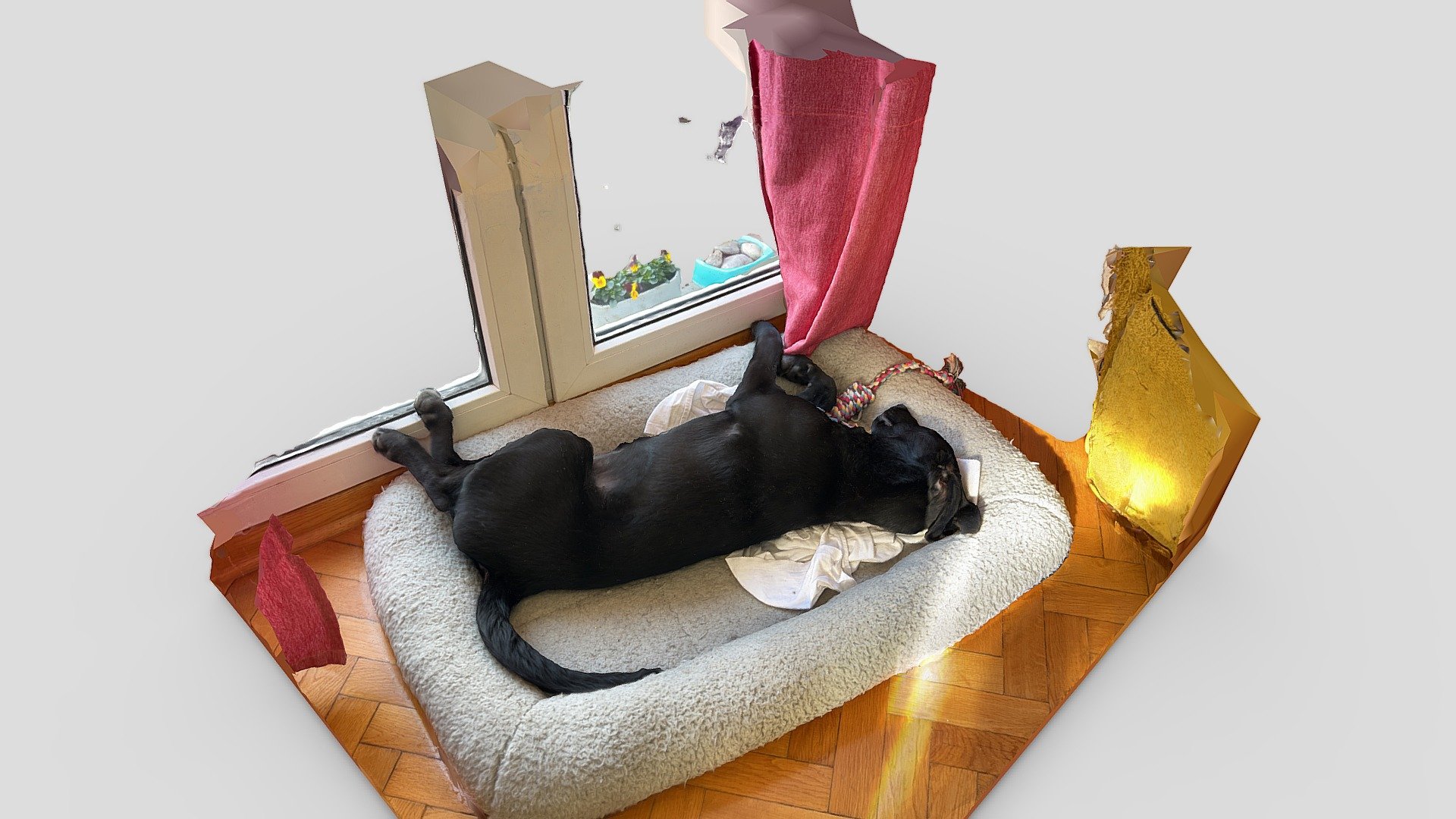 Sleeping Gaja - Download Free 3D model by Marian.Hanson [e42532a ...