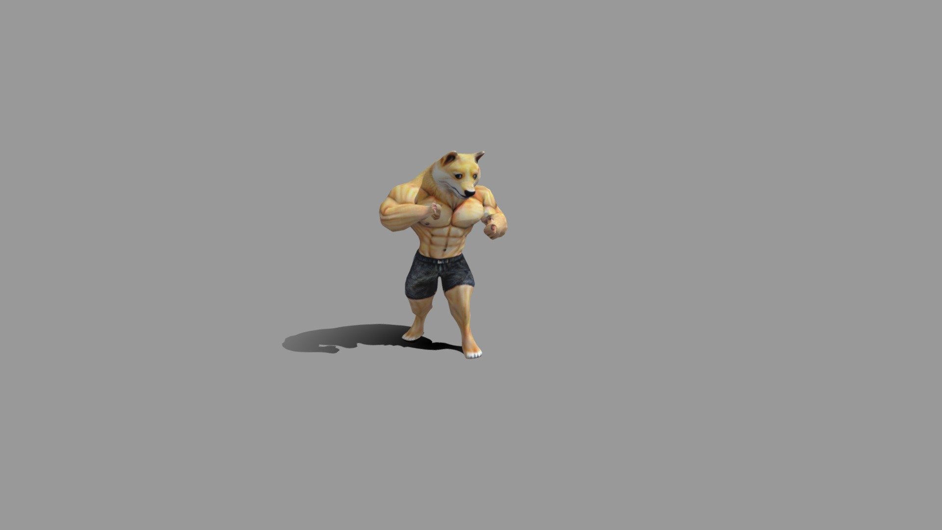 Luma AI Punching Dog - 3D model by joshopel [e427b99] - Sketchfab
