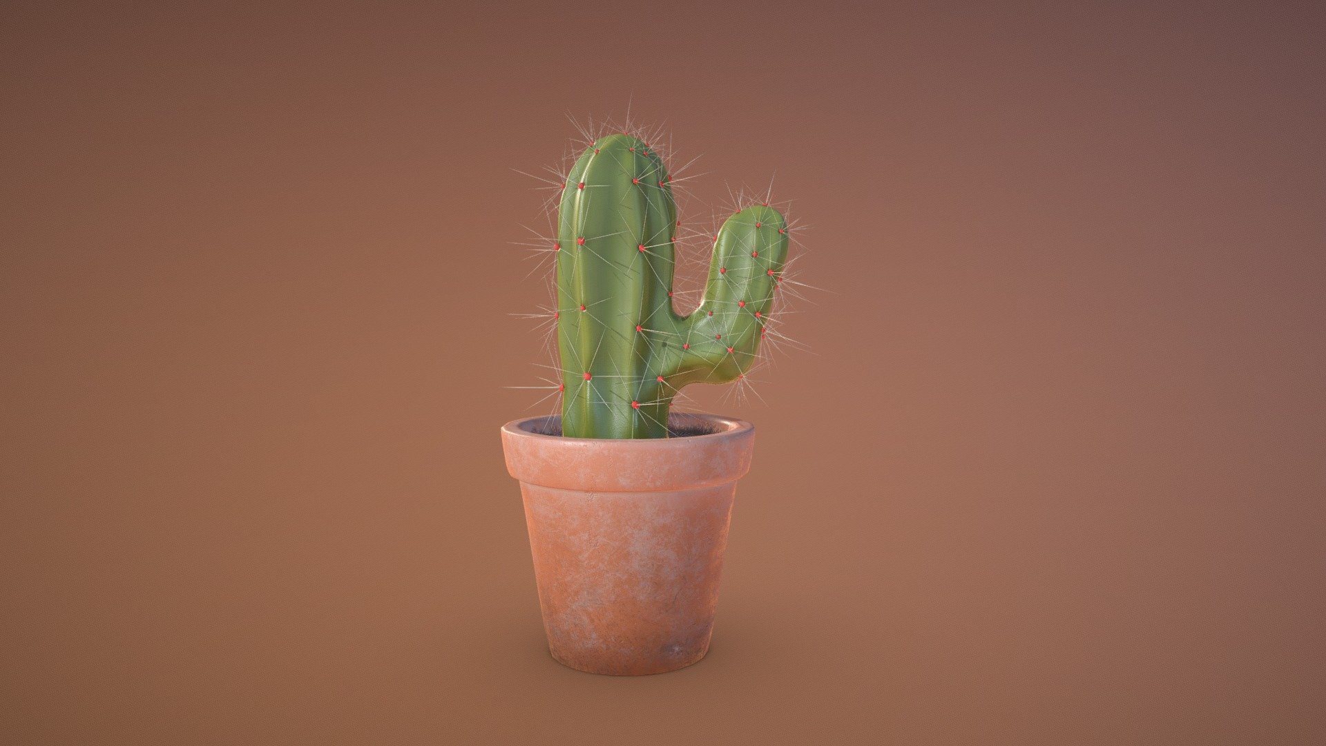 cactus - Download Free 3D model by schteppn [e4316c6] - Sketchfab