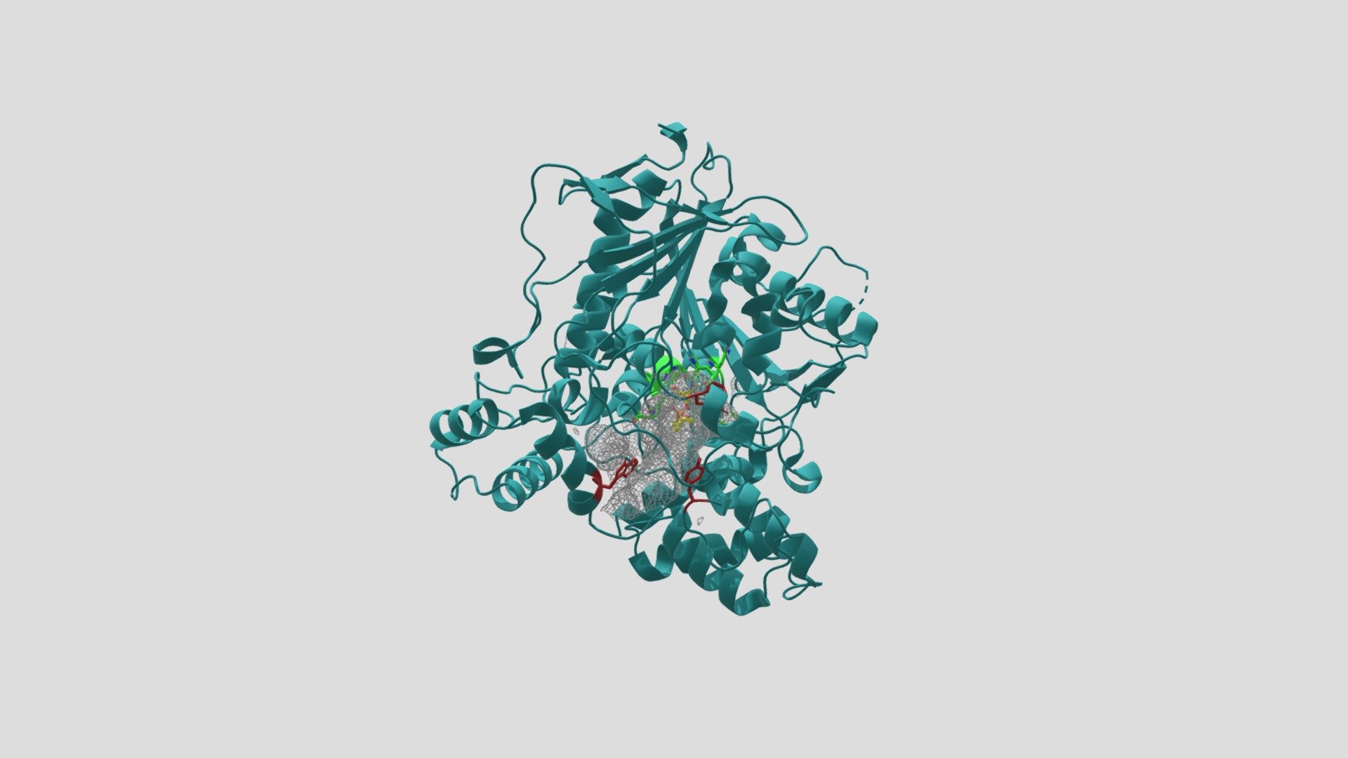 Acetylcholinesterase-Sarin Interaction - 3D model by lachlanwalcroft ...