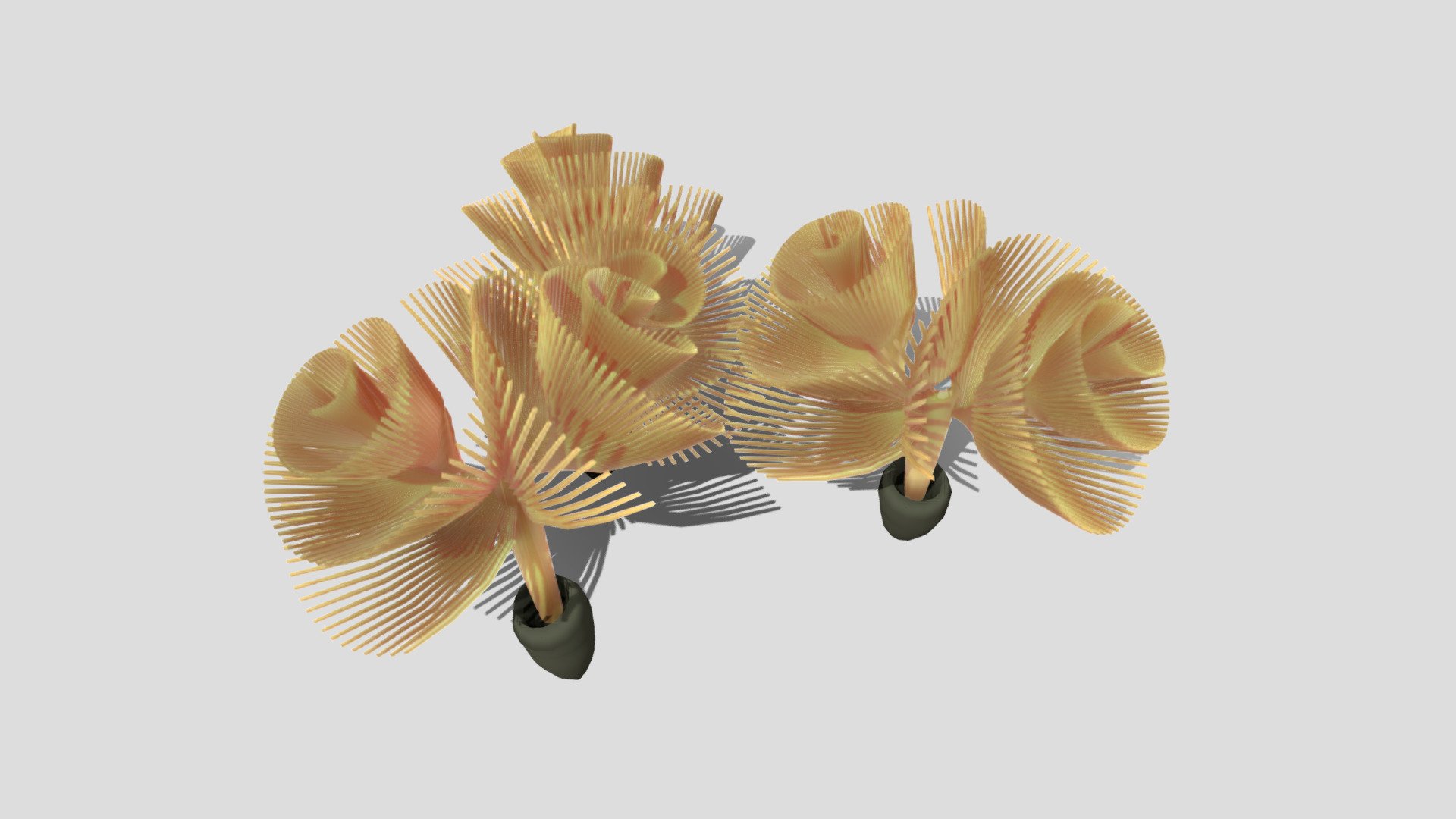 Phoronida - 3D model by Paleobiome [e446b78] - Sketchfab