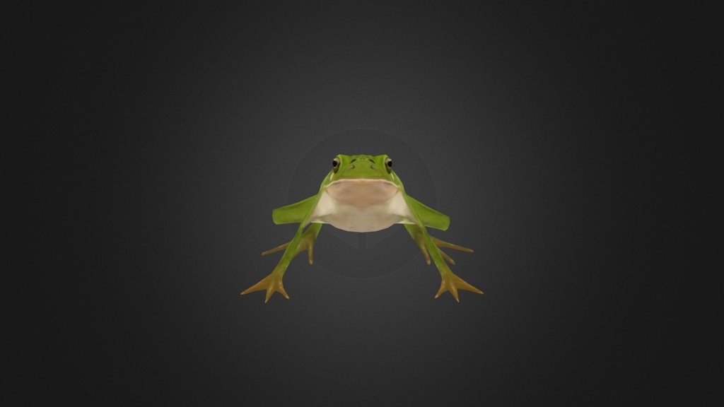 Frog_action - 3D model by ataru [e44f5f9] - Sketchfab
