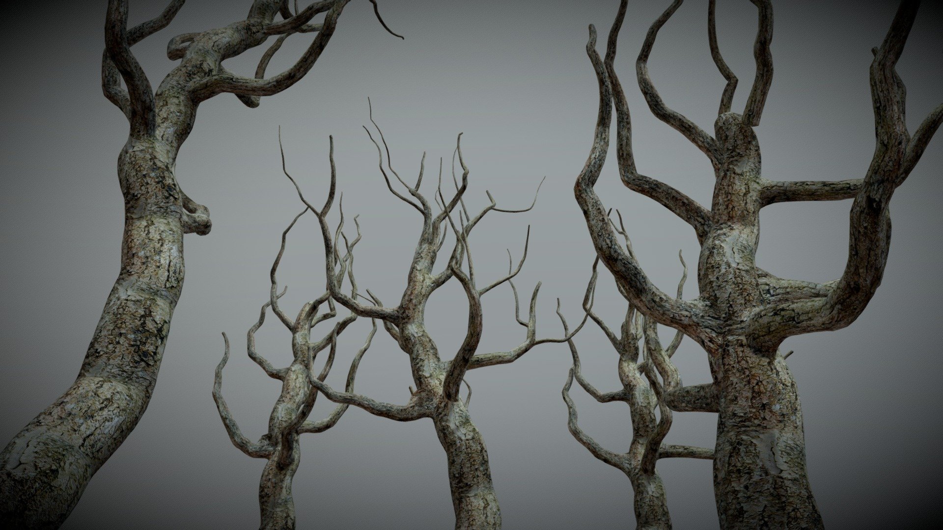 SWAMP TREES - WITH ANIMATION - Buy Royalty Free 3D model by PATH DEFORM ...