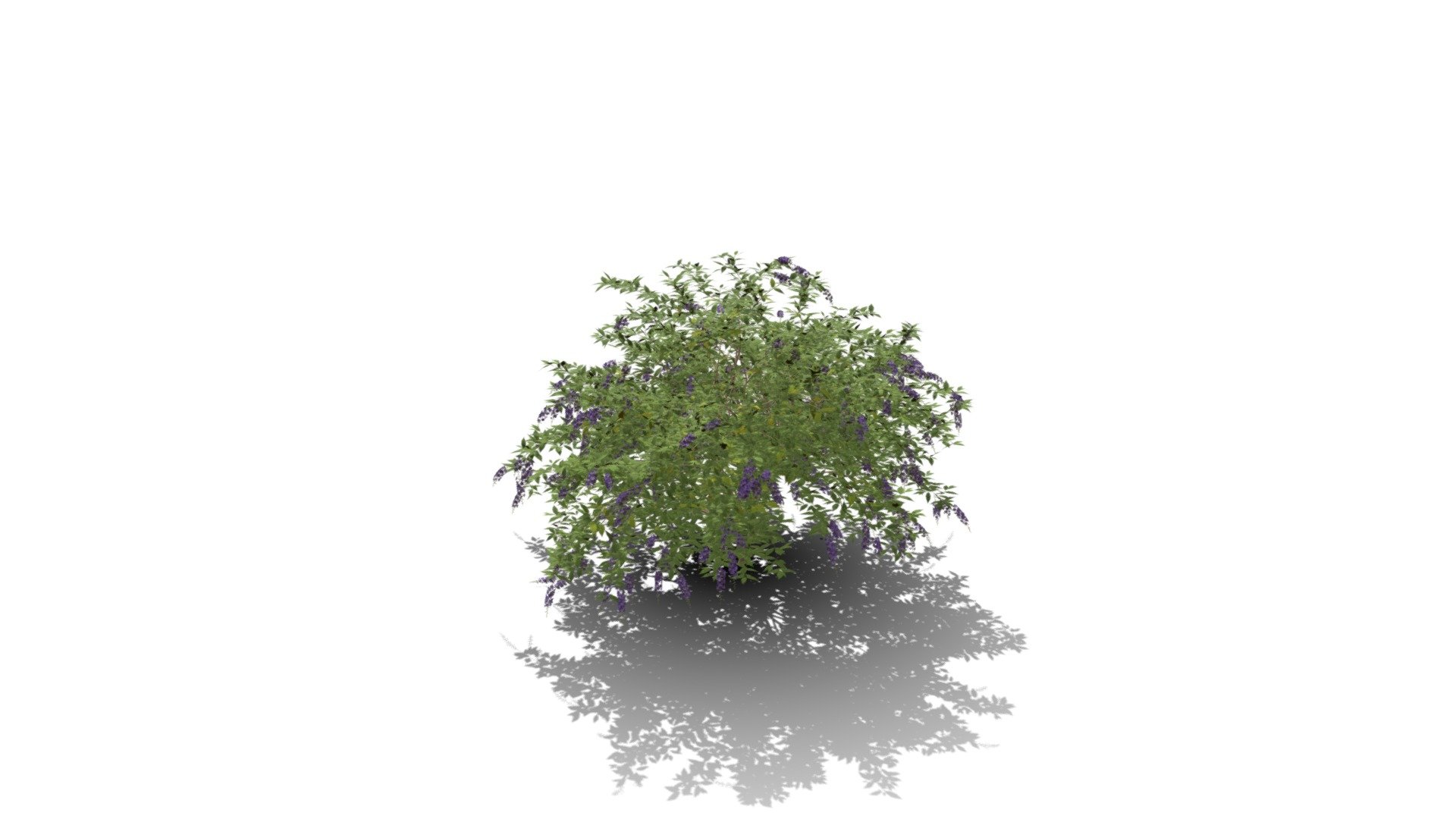 Realistic HD Golden dewberry (3/20) - Download Free 3D model by ...