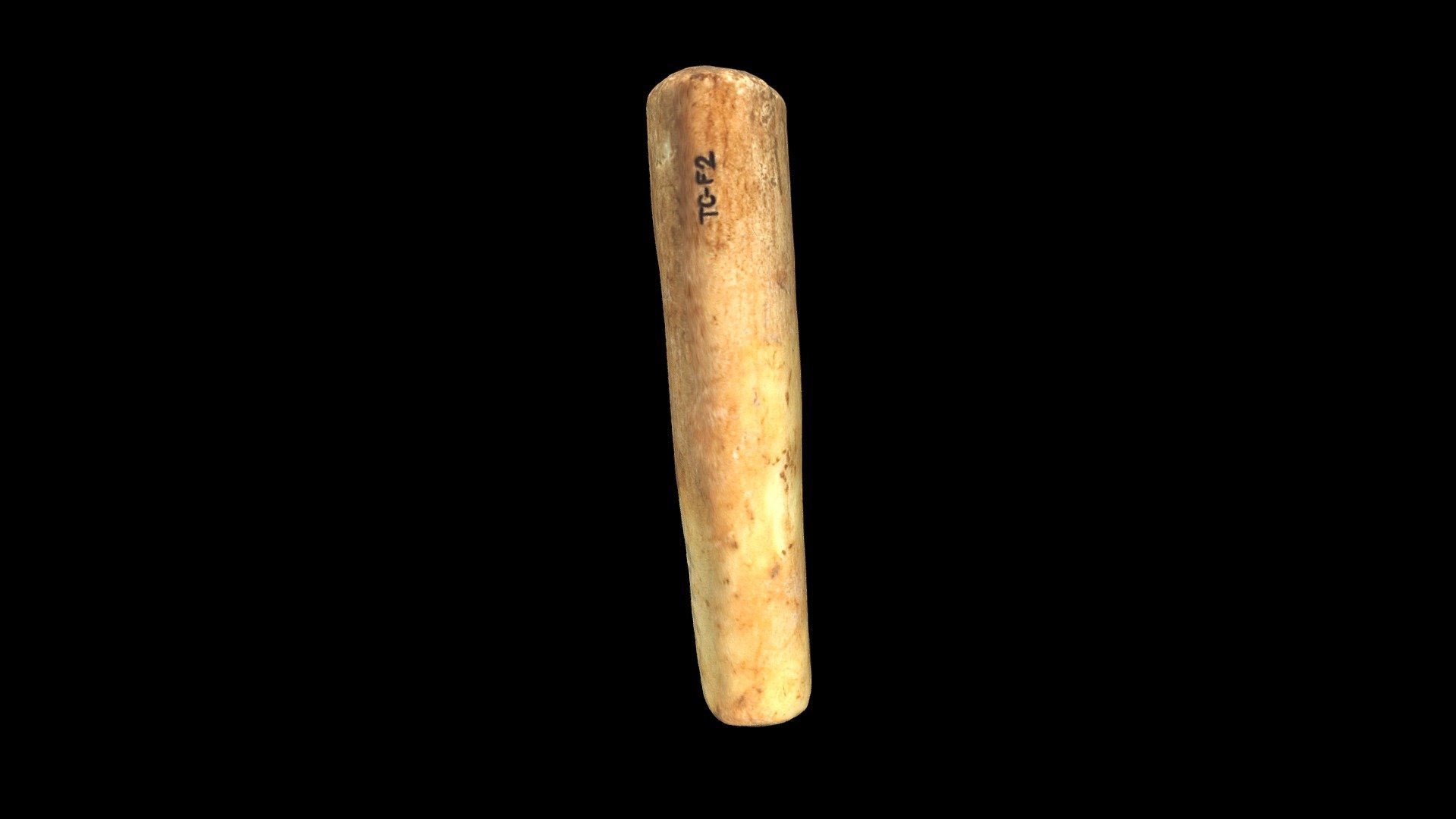 Polished Bone Fragment - 3D model by redenbaugh6791 [e45d1e9] - Sketchfab
