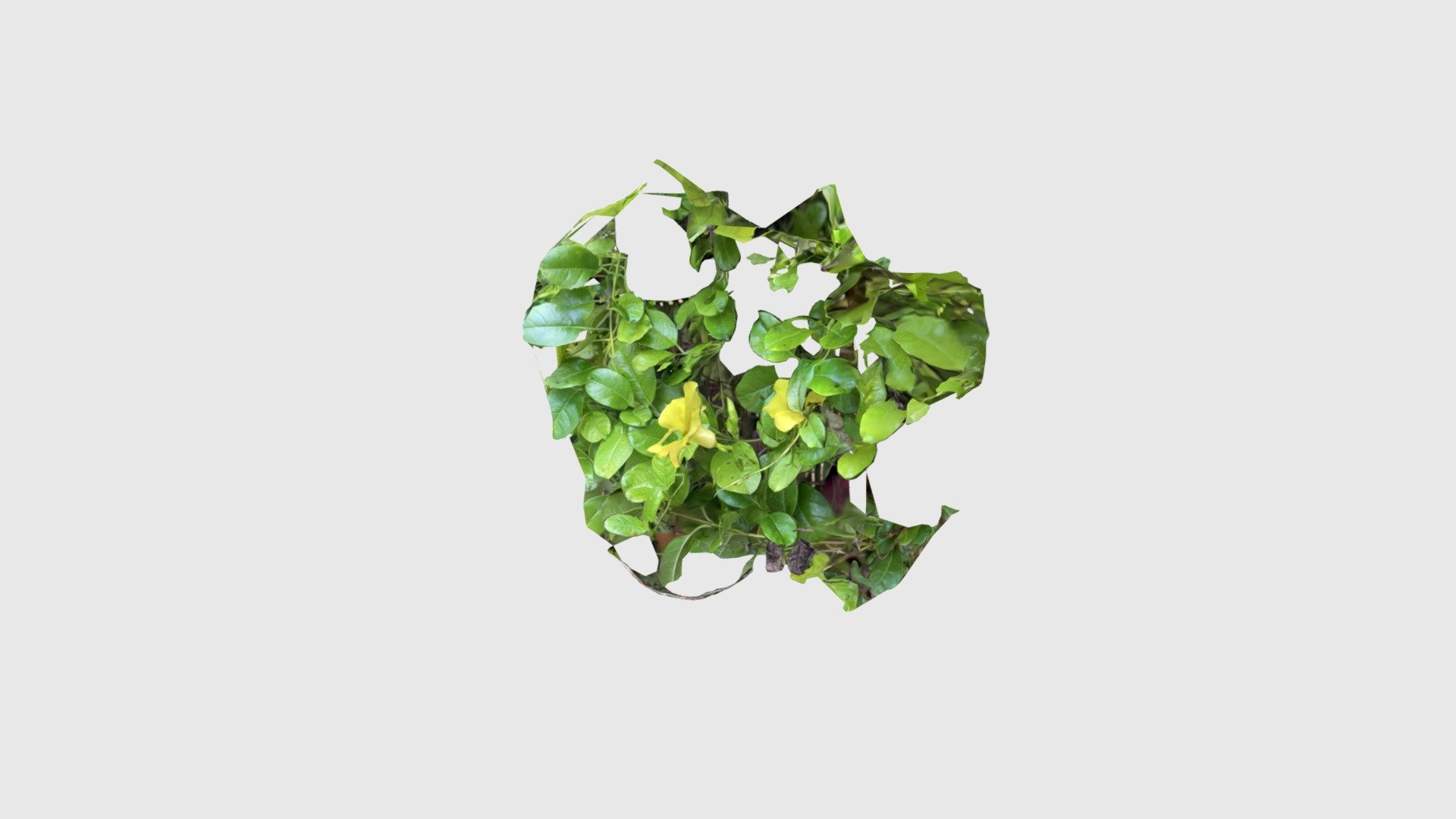 Yellow2 - Download Free 3D model by Breakeytech1 (@mbreakey) [e45e3b8 ...