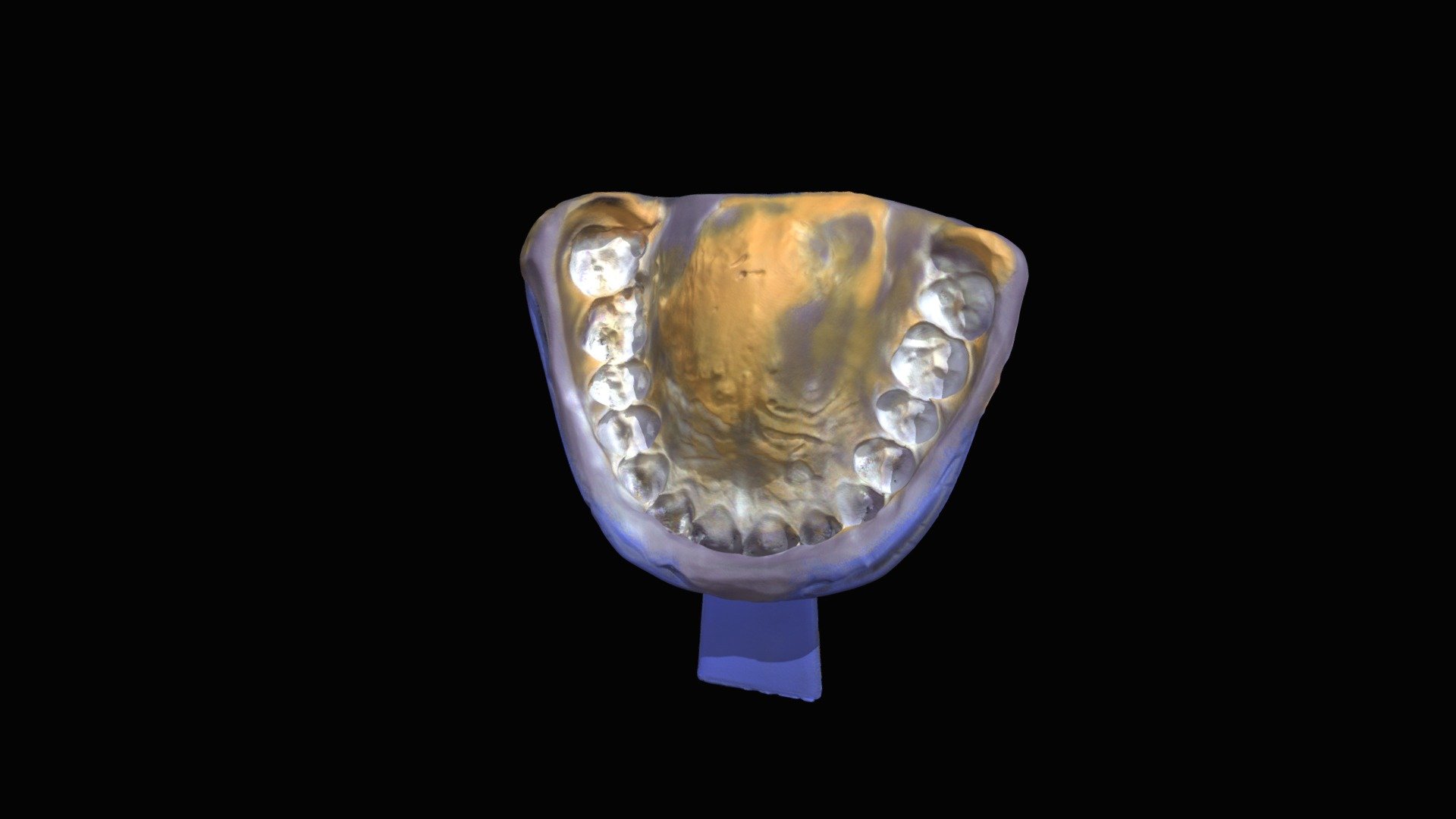 Colorful dental model - Download Free 3D model by thunk3d.scanner ...