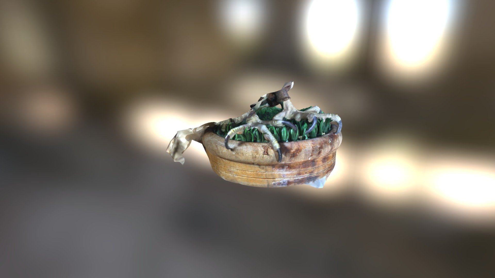 Falcon feet - Download Free 3D model by Navy_gull [e46d789] - Sketchfab