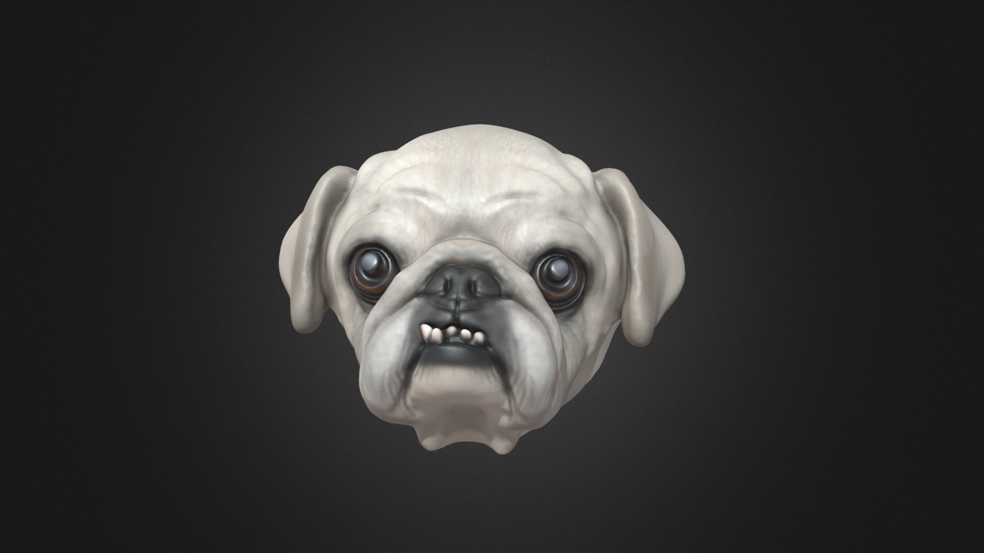 Ms Siu's Pug model - 3D model by Seed by mi (@seedbymi) [e46fdbf ...