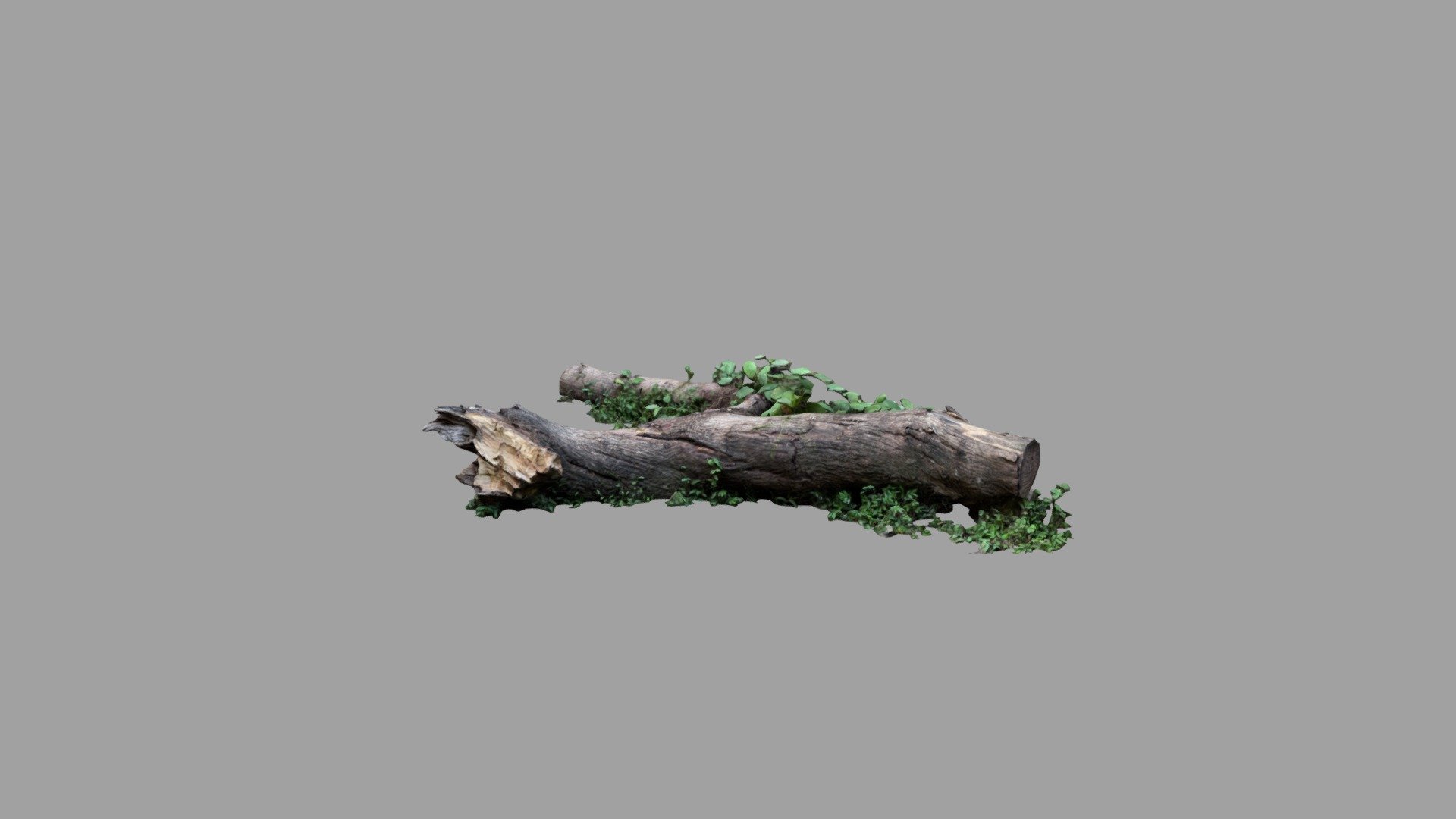 broken Tree Trunk - Download Free 3D model by Amanjot_Kuro [e473c0a ...