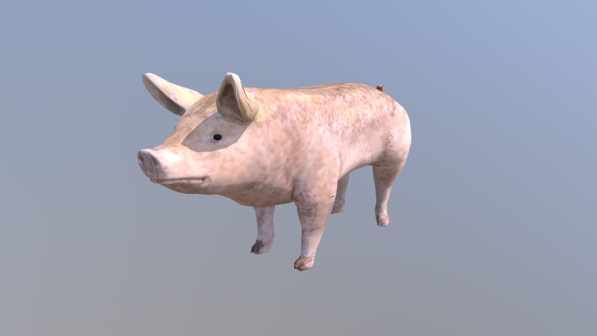 Standard Pig - Buy Royalty Free 3D model by 3dlowpoly [e476623 ...