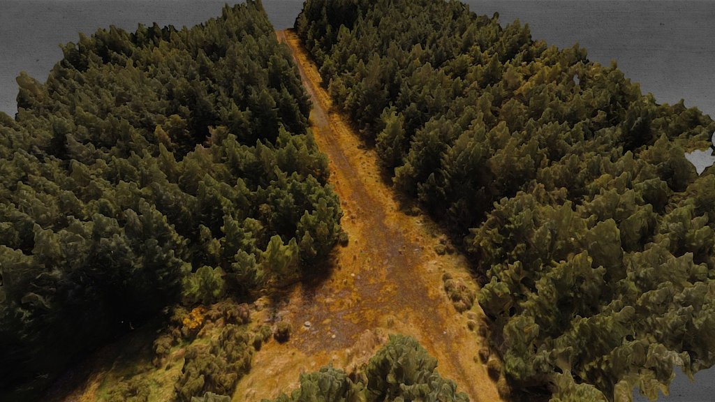 Forest Path - Download Free 3D model by Killian Power (@cilldepaor ...