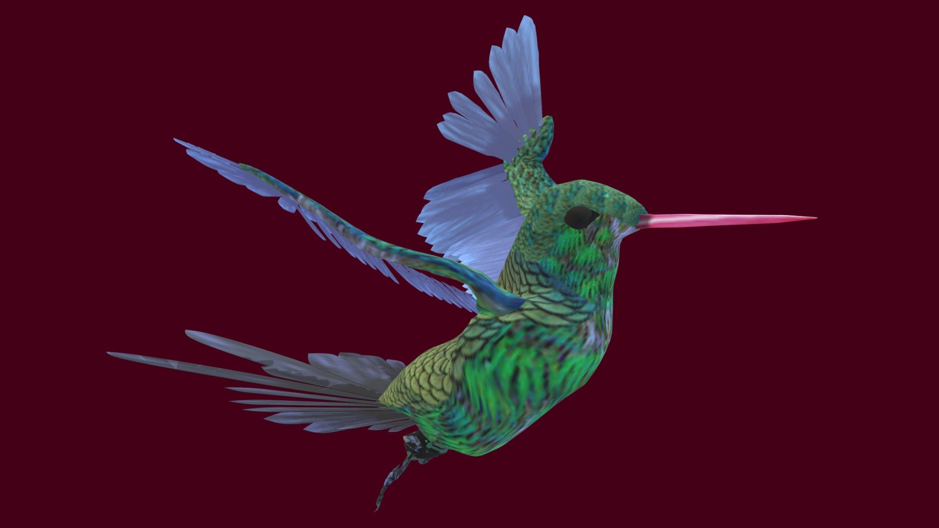 Colibrí - Download Free 3D model by EVE3D UNAM (@eve3d_unam) [e48153c ...