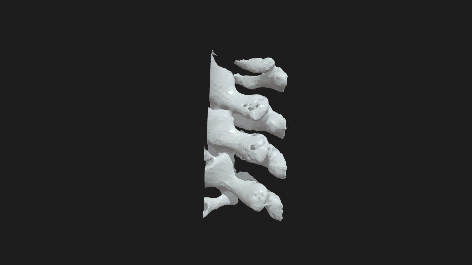 Th4 B2 sag - 3D model by alighieri87 [e49307e] - Sketchfab