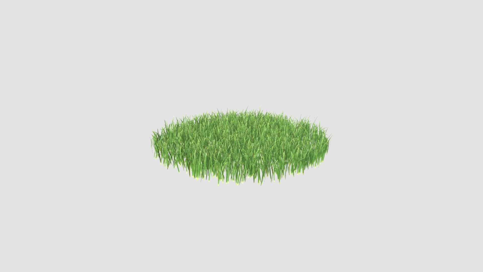 simple grass large - Buy Royalty Free 3D model by Evermotion [e49c107 ...
