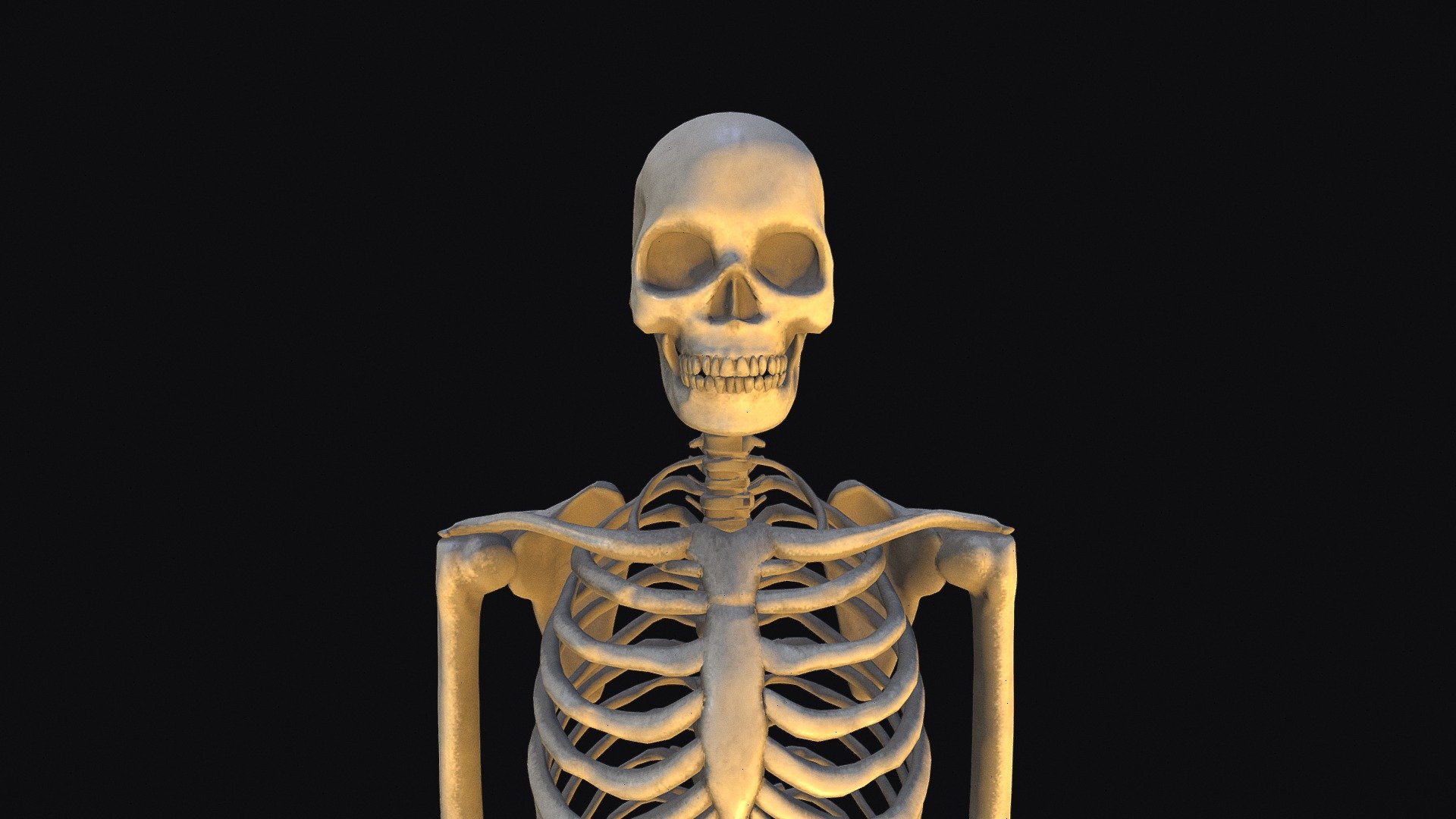 Spooky Scary Skeleton - 3D model by Solo (@hannabk01) [e49c39b] - Sketchfab