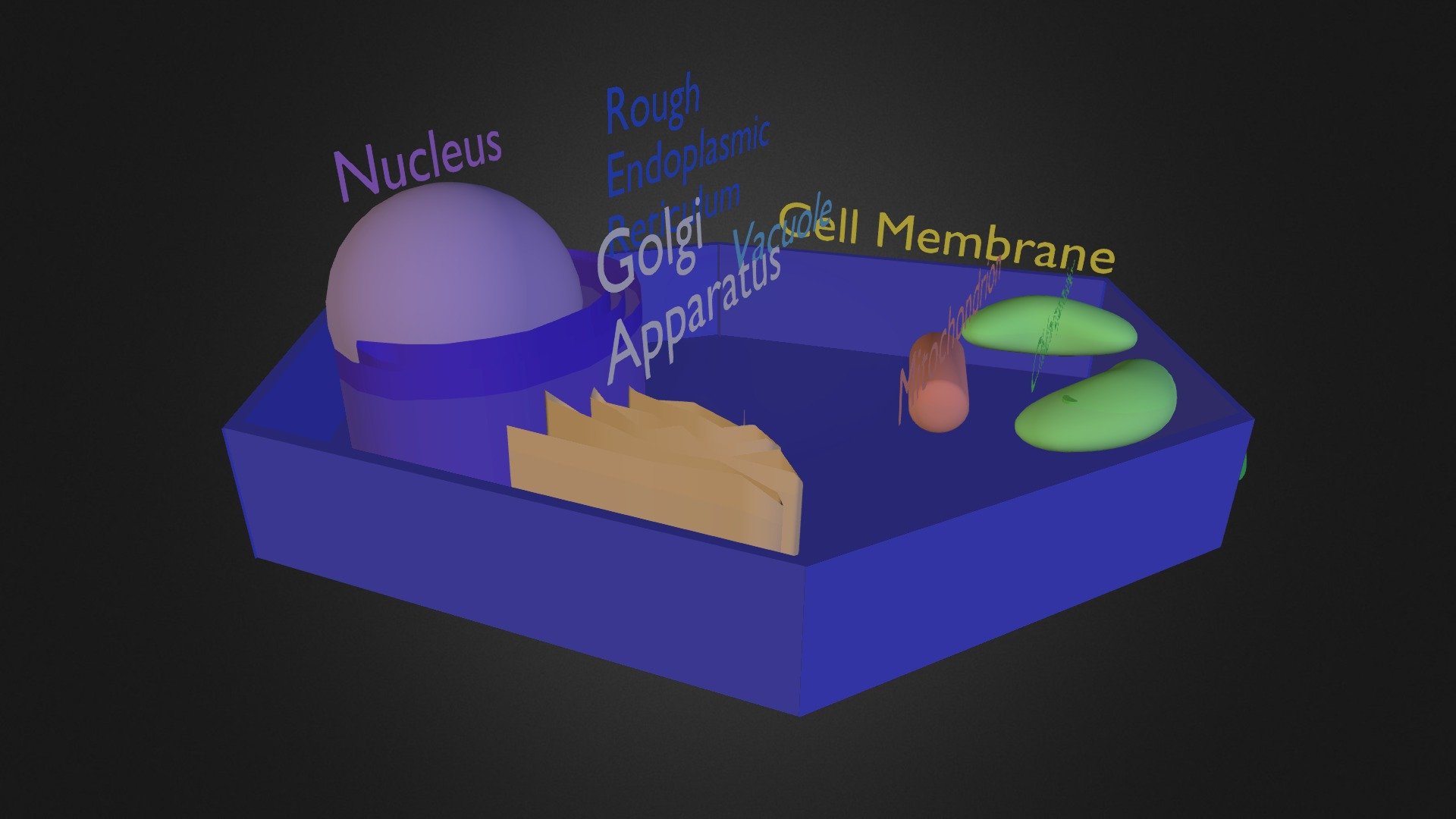 plantcell3 - 3D model by ElainaMccarty [e4a15e9] - Sketchfab
