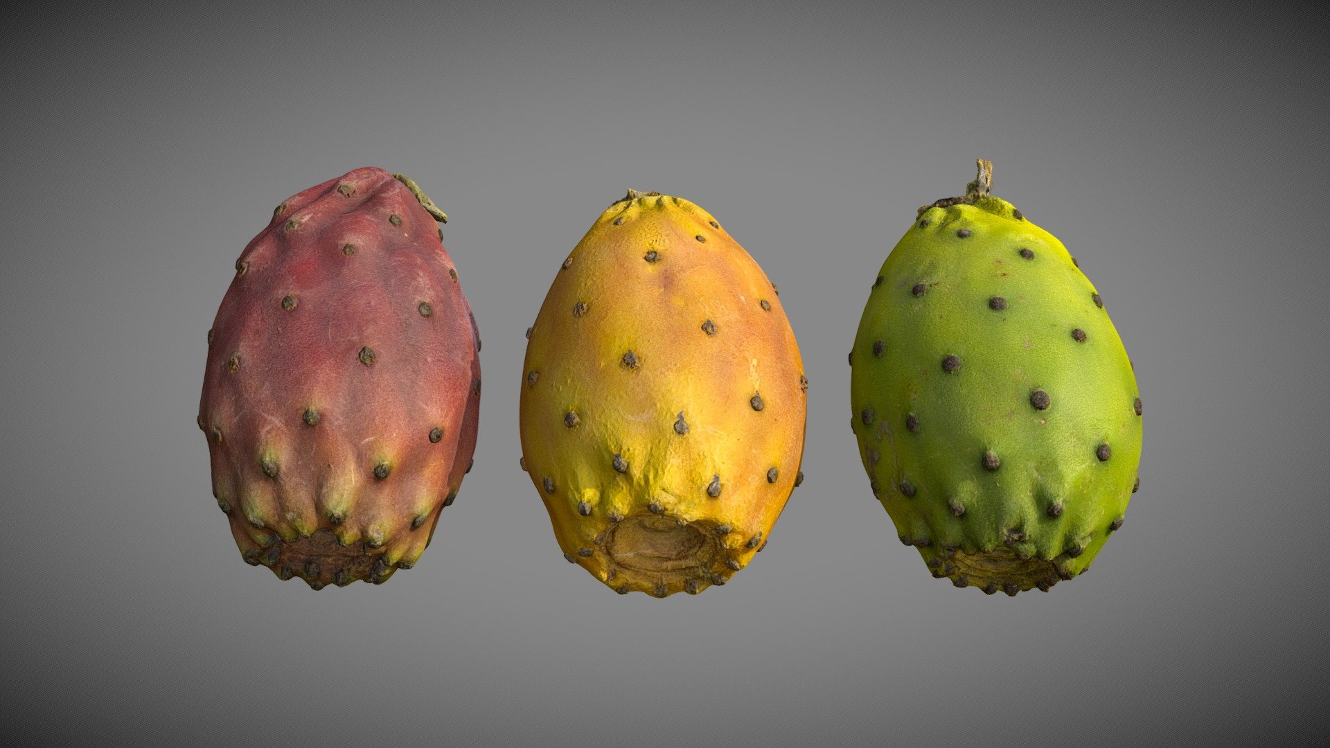 Three Prickly Pears - Buy Royalty Free 3D model by Eydeet [e4b3ae7] - Sketchfab Store