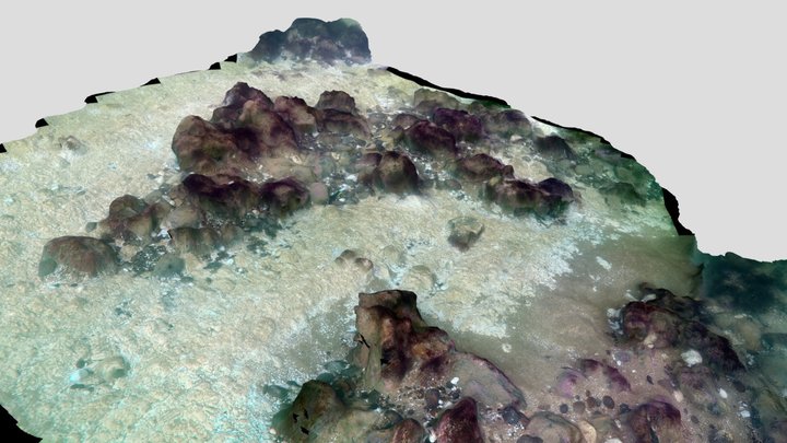 Seasearch 3D models - Sketchfab