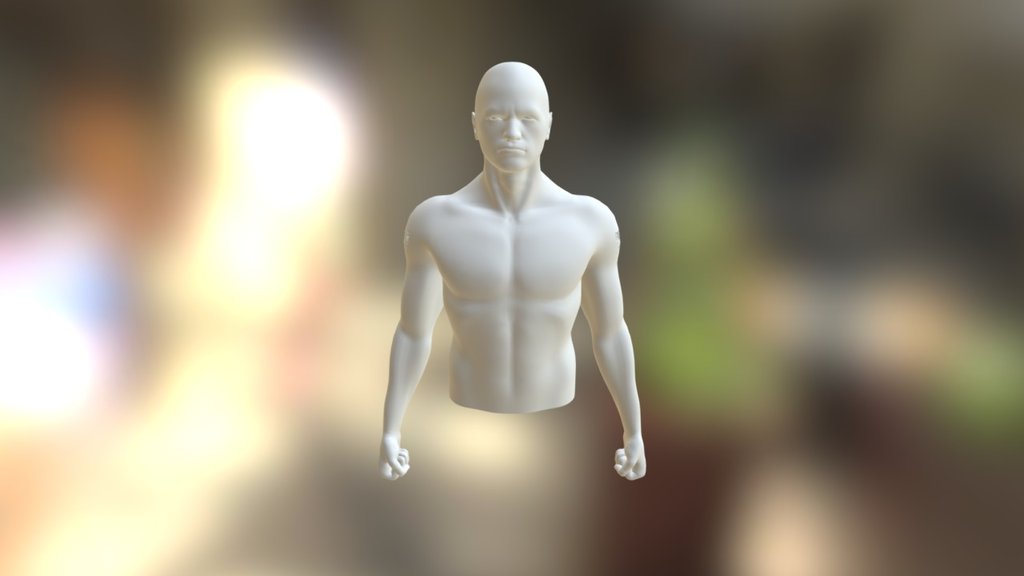 Torso2 - 3D model by ImagineThat-3D [e4b8f54] - Sketchfab