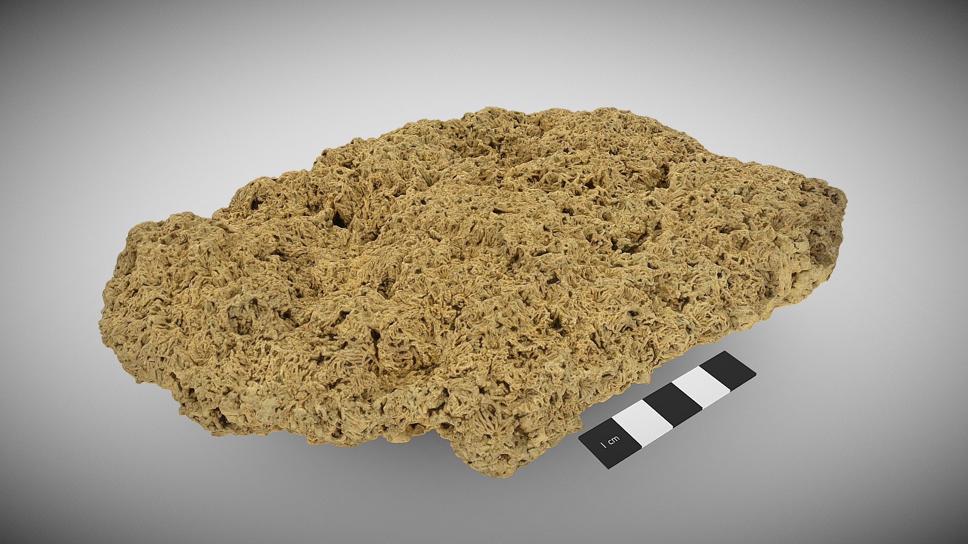 Tufa - 3D model by UQ School of the Environment (@UQ_SEES) [e4b9833 ...