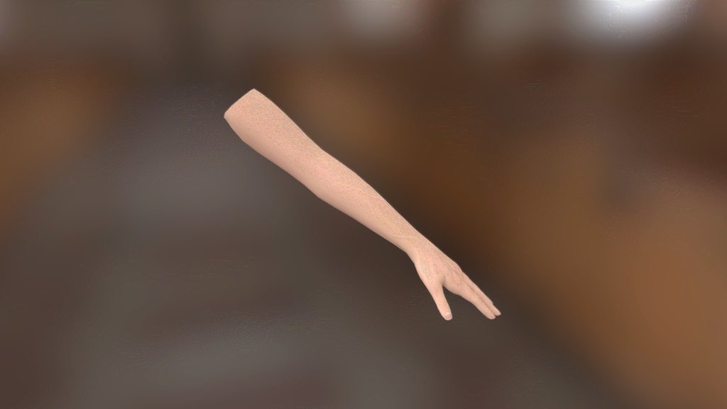 Low Poly Arm for VR Gameplay - 3D model by caroneubert [e4bfe8e ...