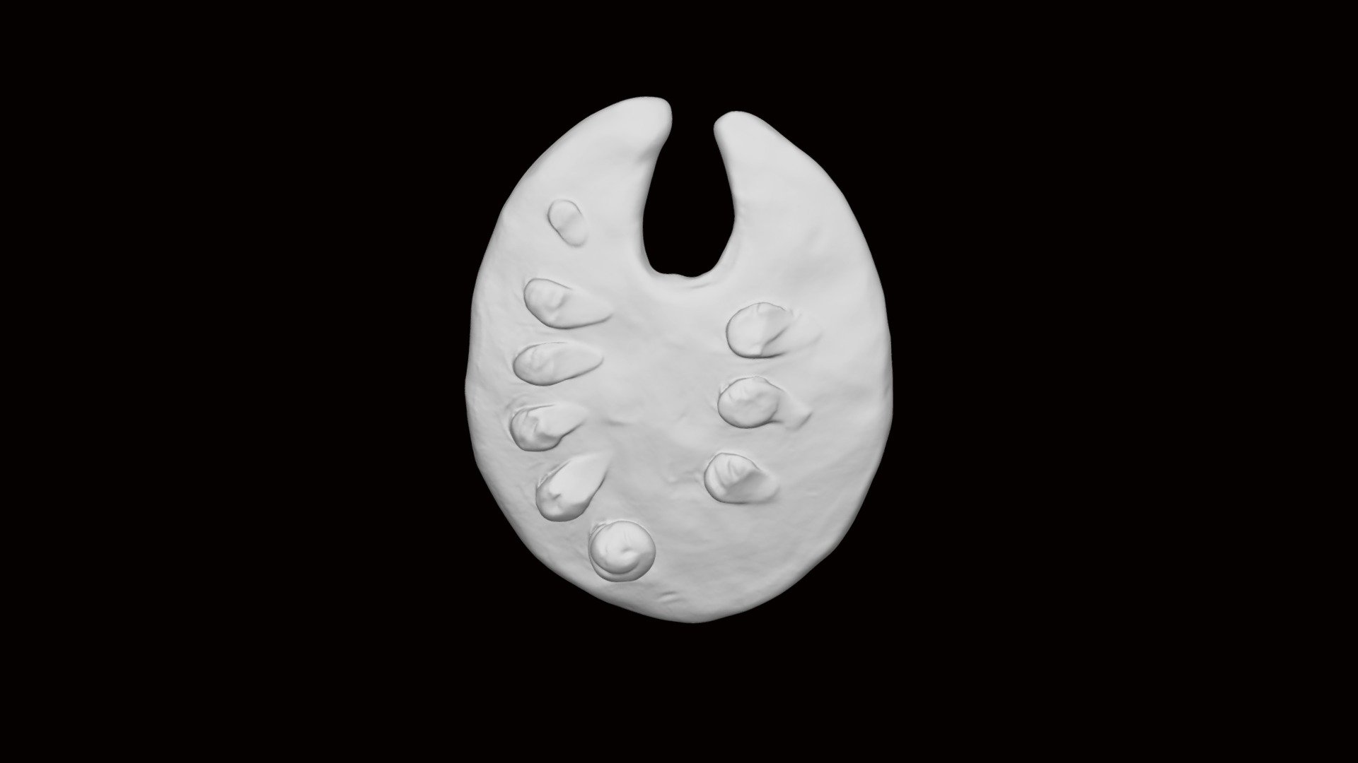 Painters palette (VCU_3D_7953) - 3D model by Virtual Curation Lab ...