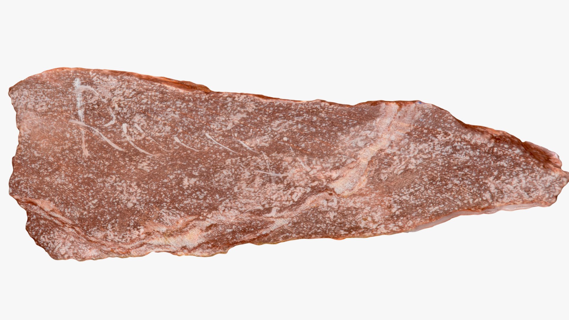 Argilite rouge à microcodium - Download Free 3D model by Ecole ...