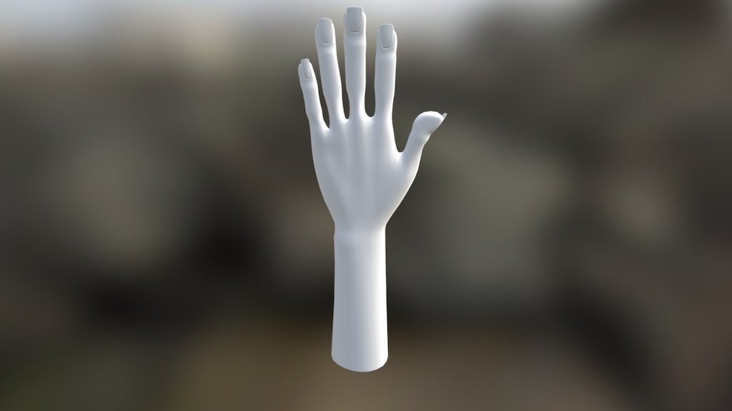 Hand Rigged - 3D model by carolelle [e4ce5f4] - Sketchfab